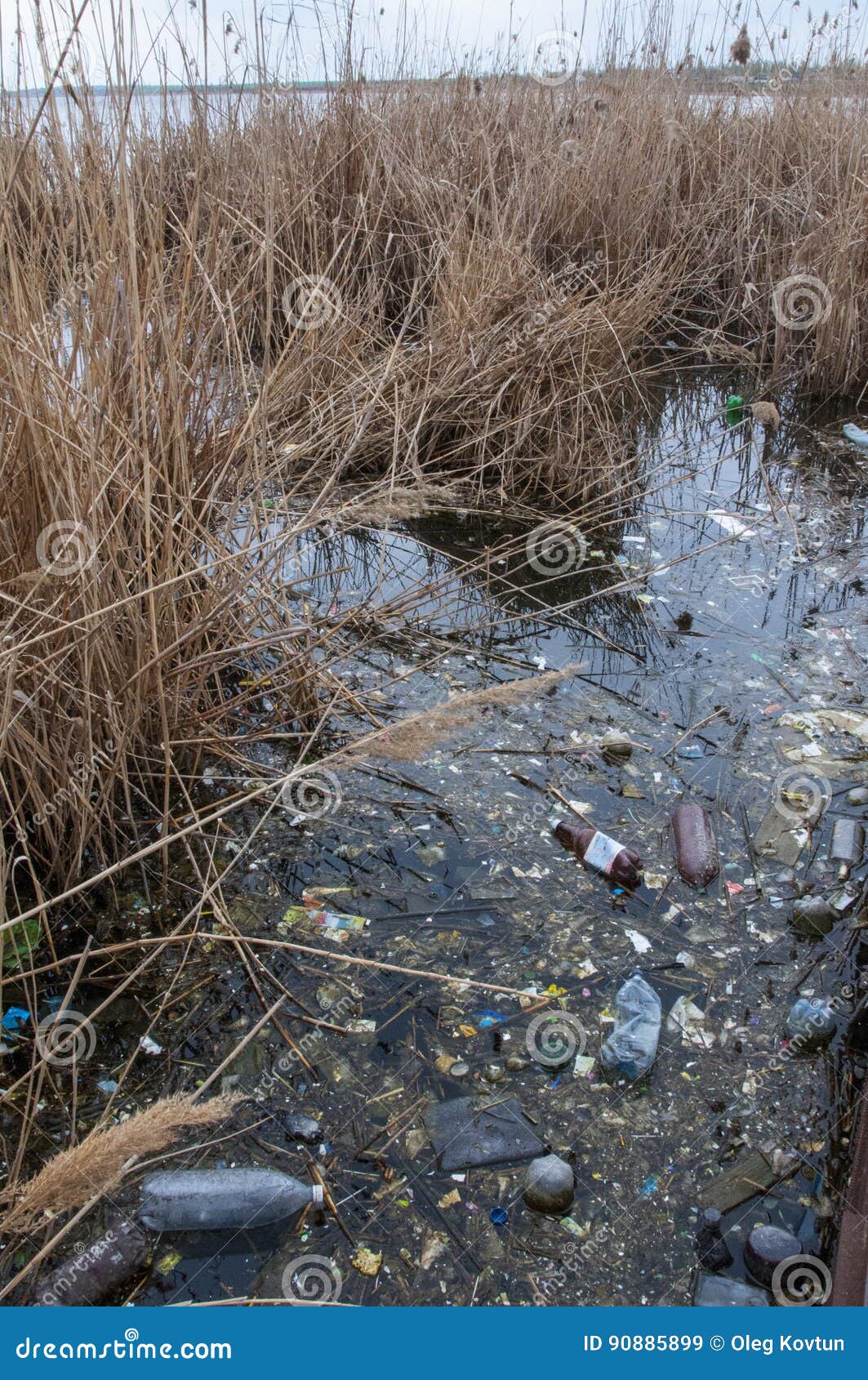 Environmental Problem, Garbage. Contamination with Debris and Pl Stock ...