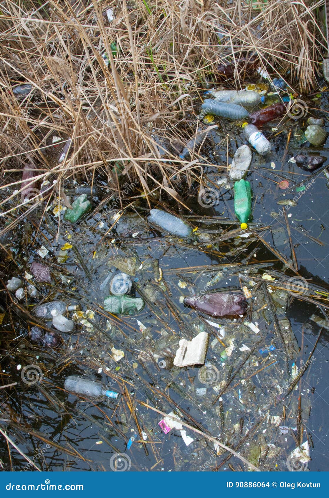 Environmental Problem, Garbage. Contamination with Debris and Pl ...