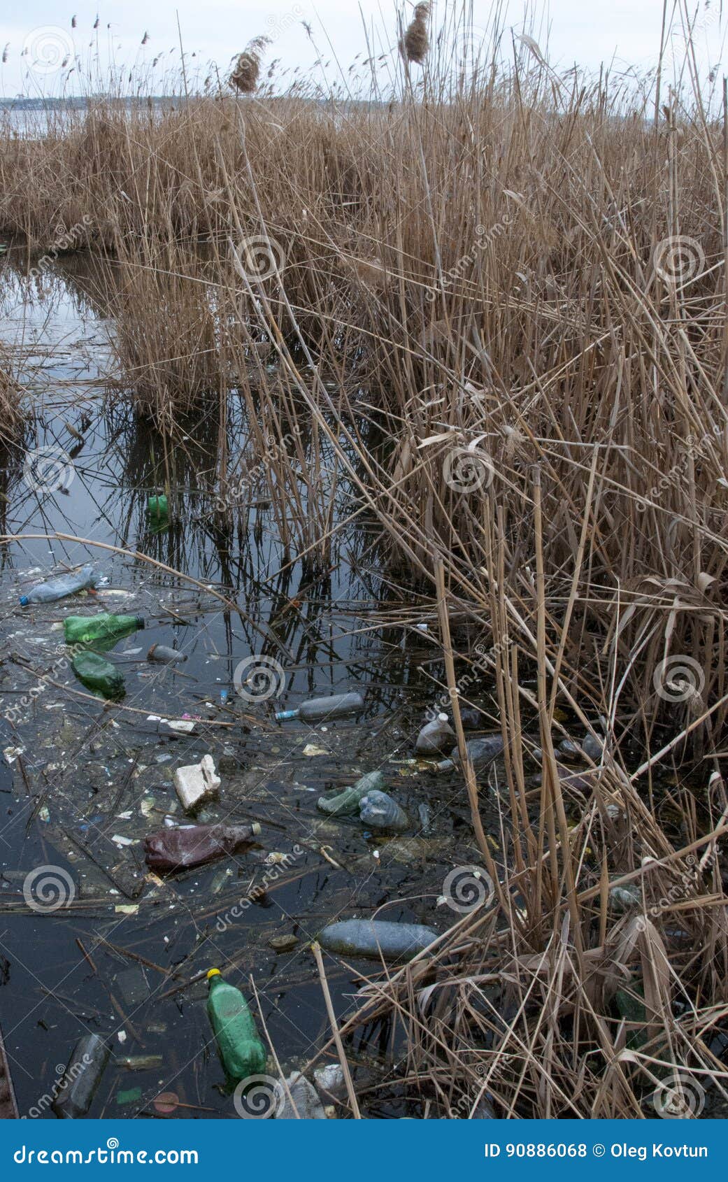 Environmental Problem, Garbage. Contamination with Debris and Pl Stock ...