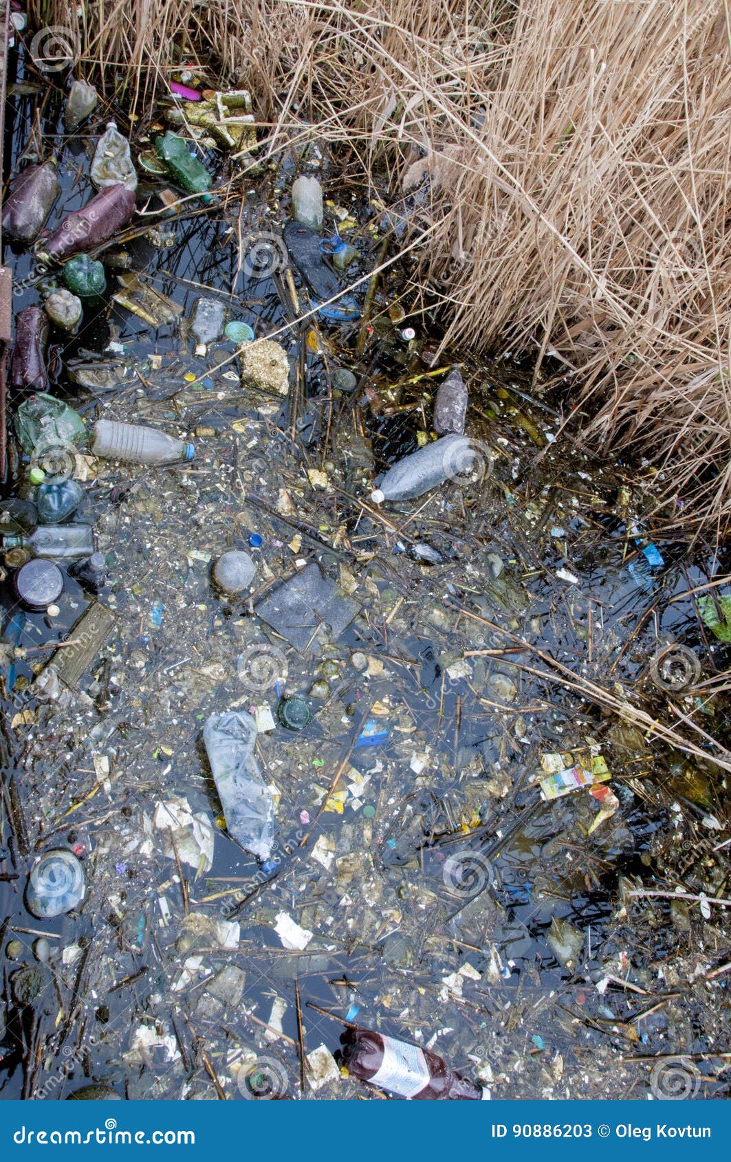 Environmental Problem, Garbage. Contamination with Debris and Pl Stock ...