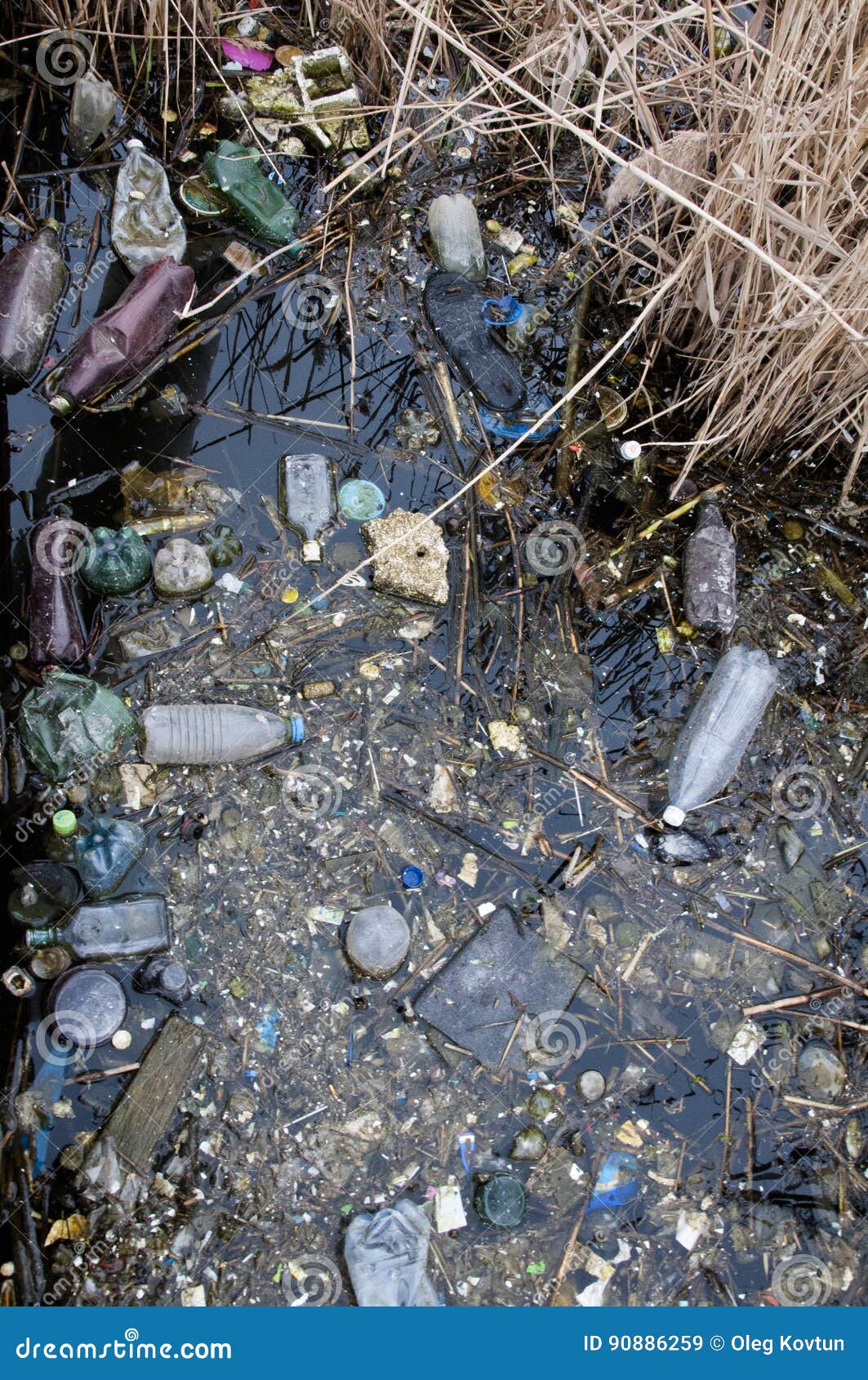 Environmental Problem, Garbage. Contamination with Debris and Pl Stock ...