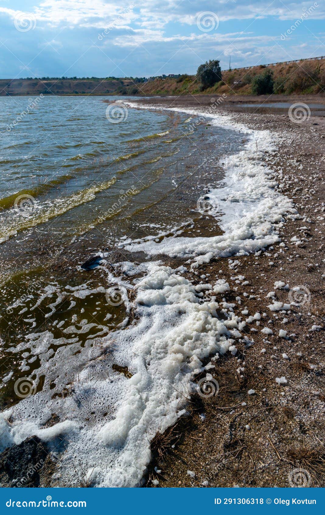 Environmental Problem and Pollution, Eutrophication of a Natural ...