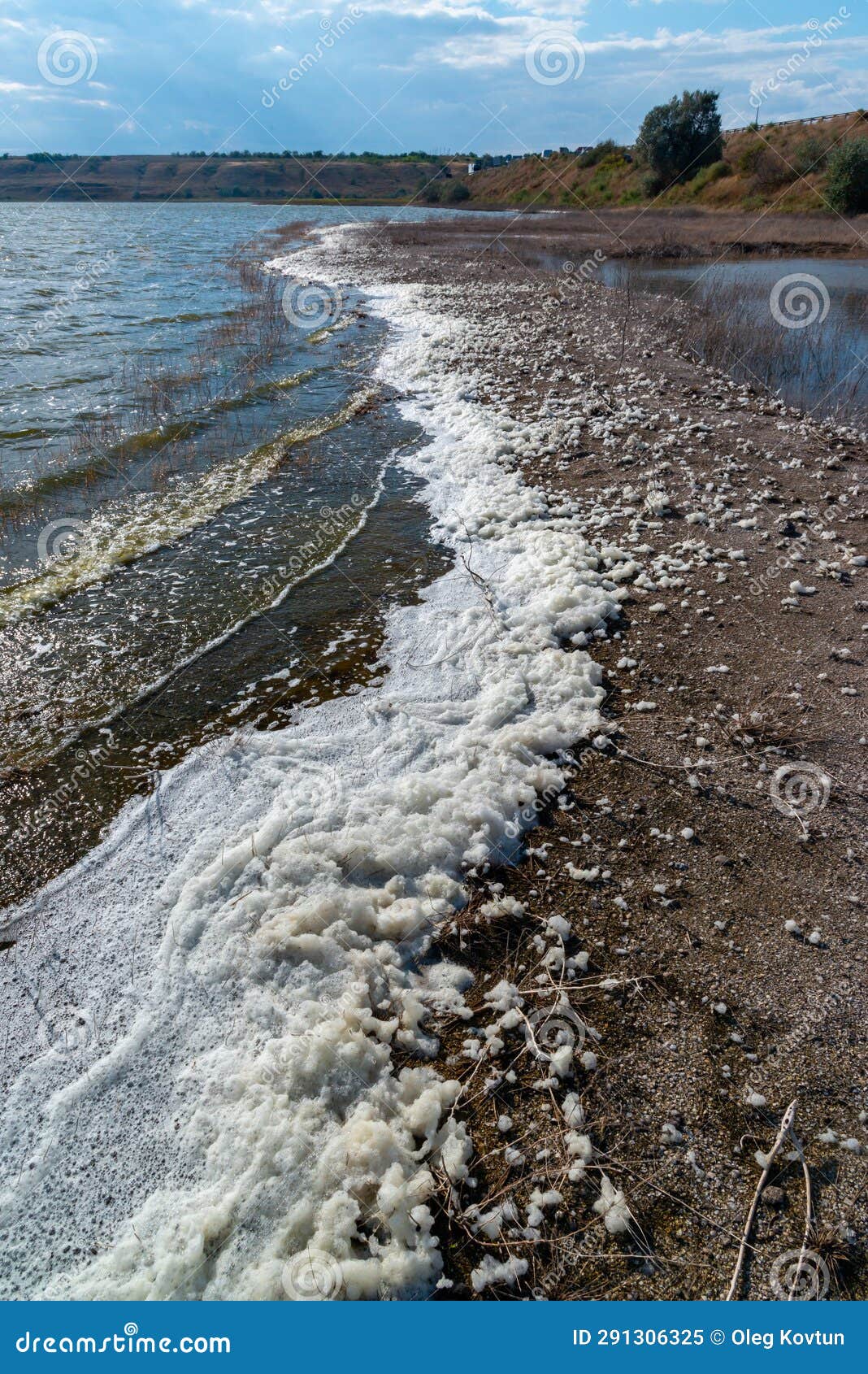 Environmental Problem and Pollution, Eutrophication of a Natural ...
