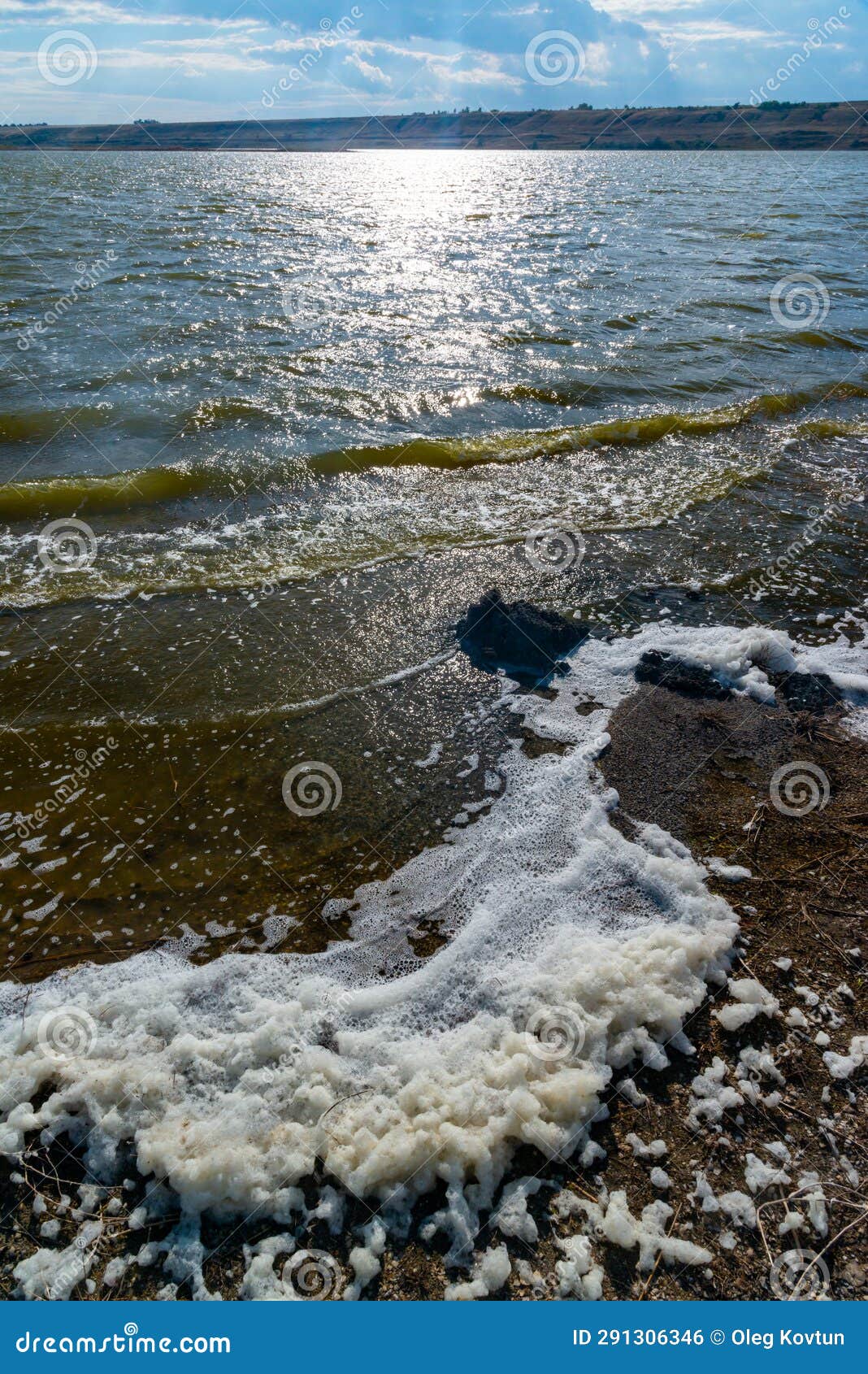 Environmental Problem and Pollution, Eutrophication of a Natural ...