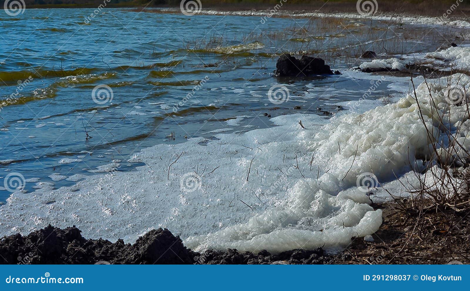 Environmental Problem and Pollution, Eutrophication of a Natural ...