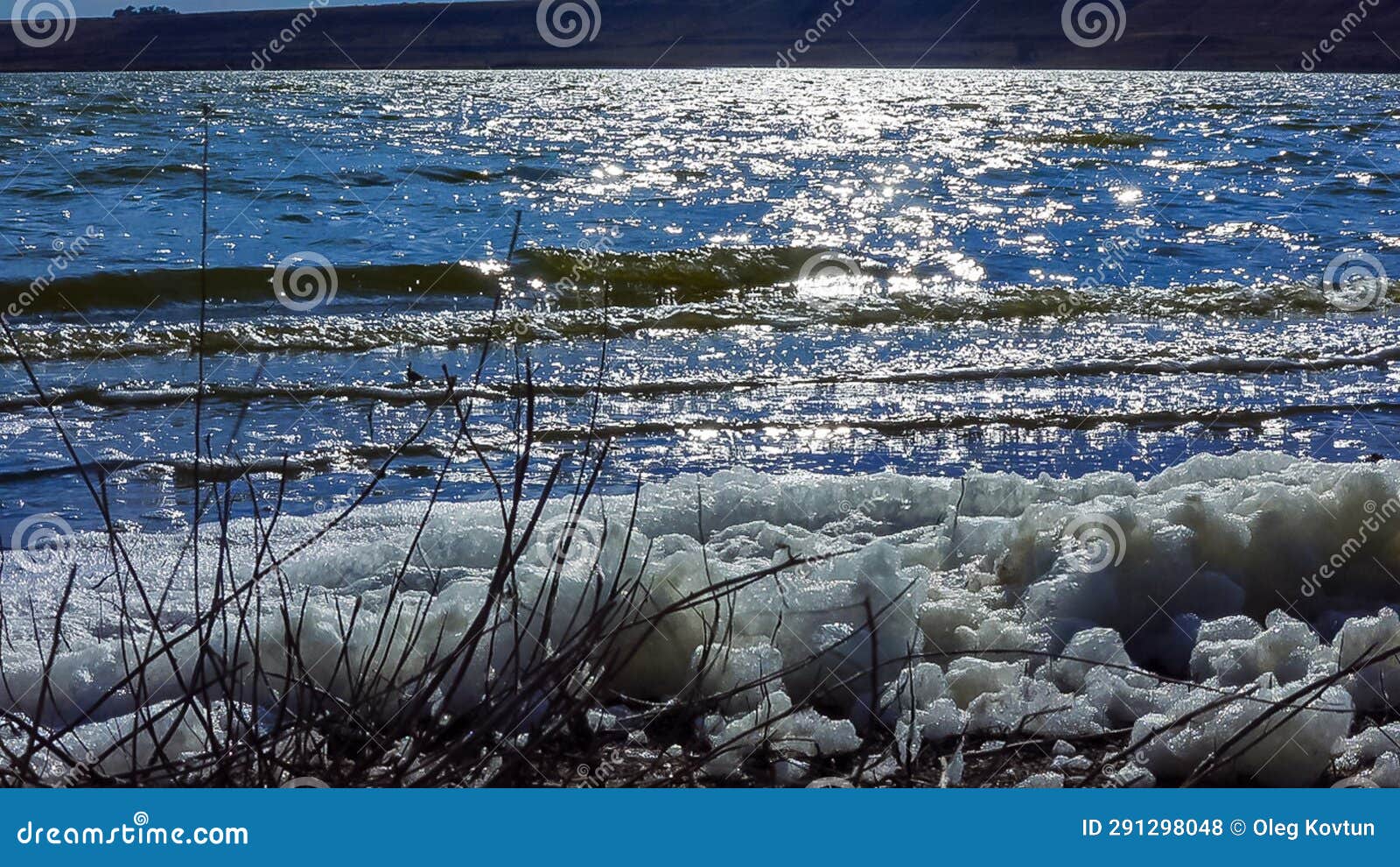 Environmental Problem and Pollution, Eutrophication of a Natural ...