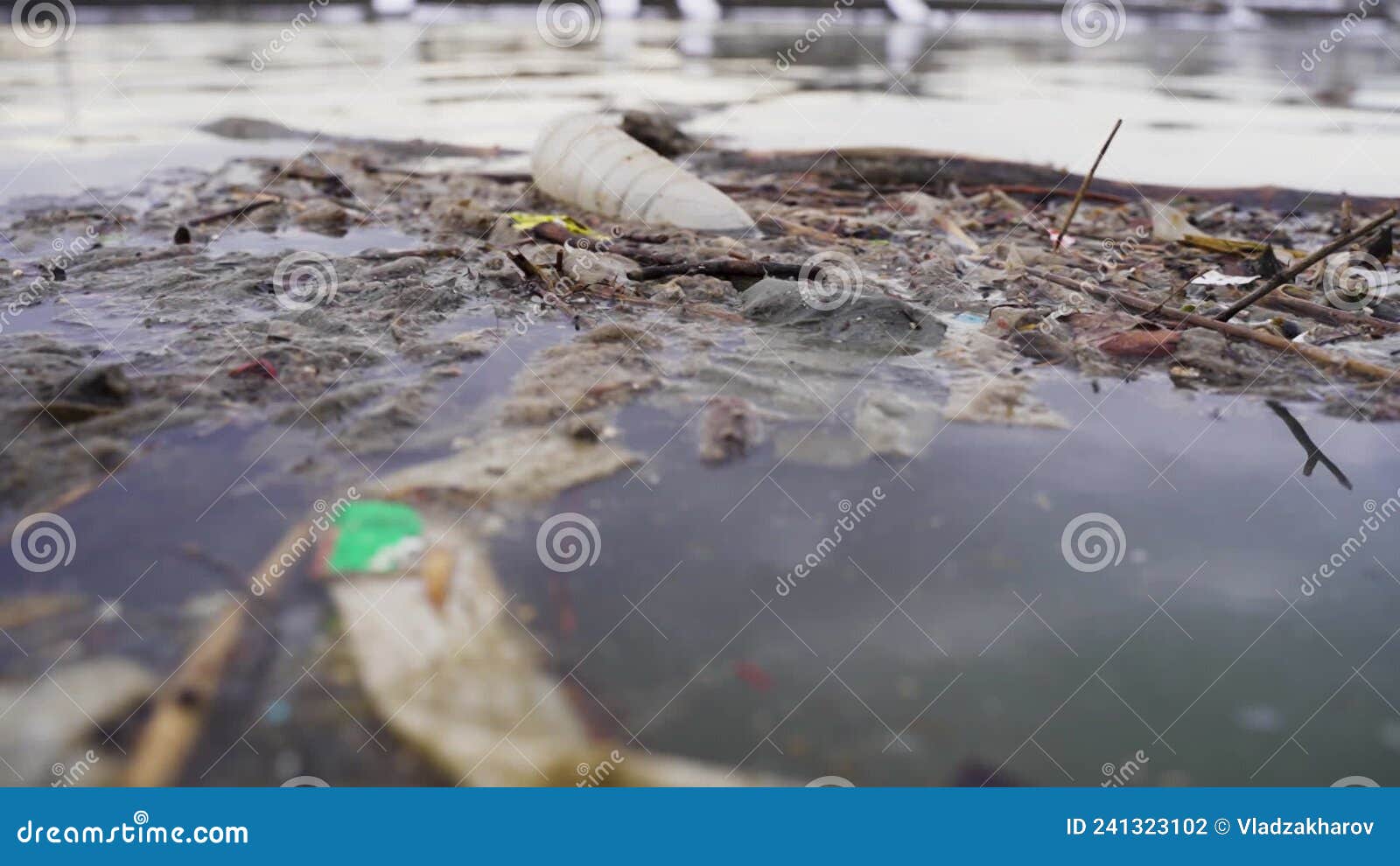 Environmental Problems of a Big City. Garbage in the River Stock ...