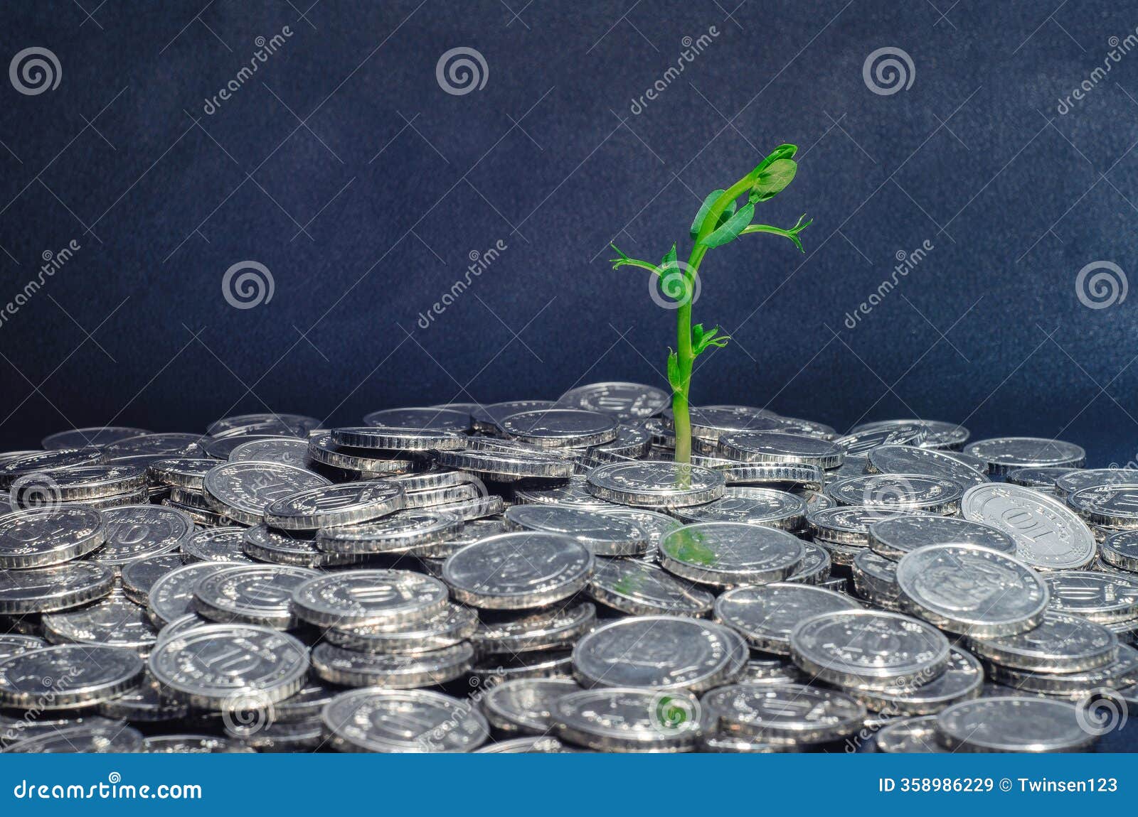 Environmental Problems. Green Sprout Growing on Scattered Coins. Save ...