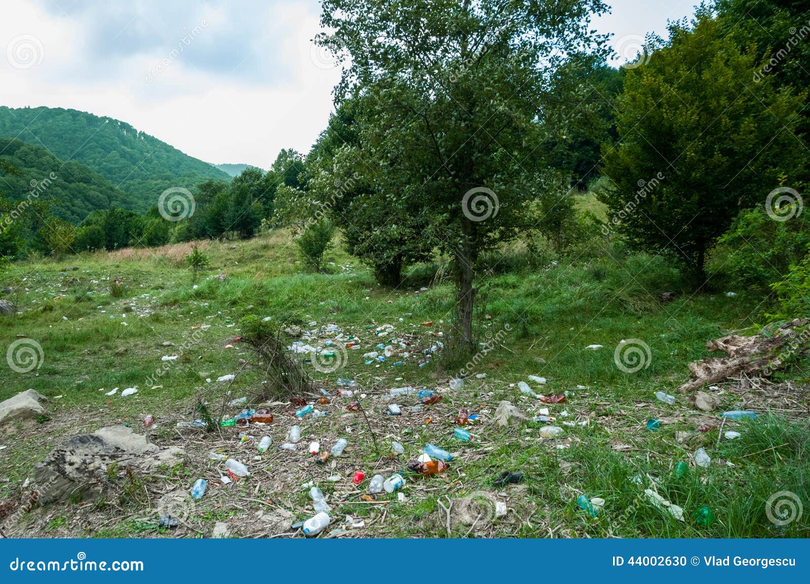 Environmental Problems and Nature Pollution Stock Photo - Image of ...