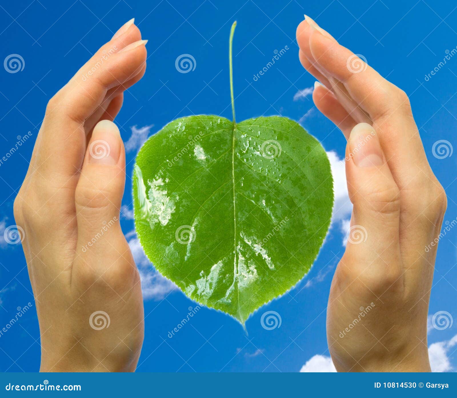 Environmental protection stock photo. Image of health - 10814530