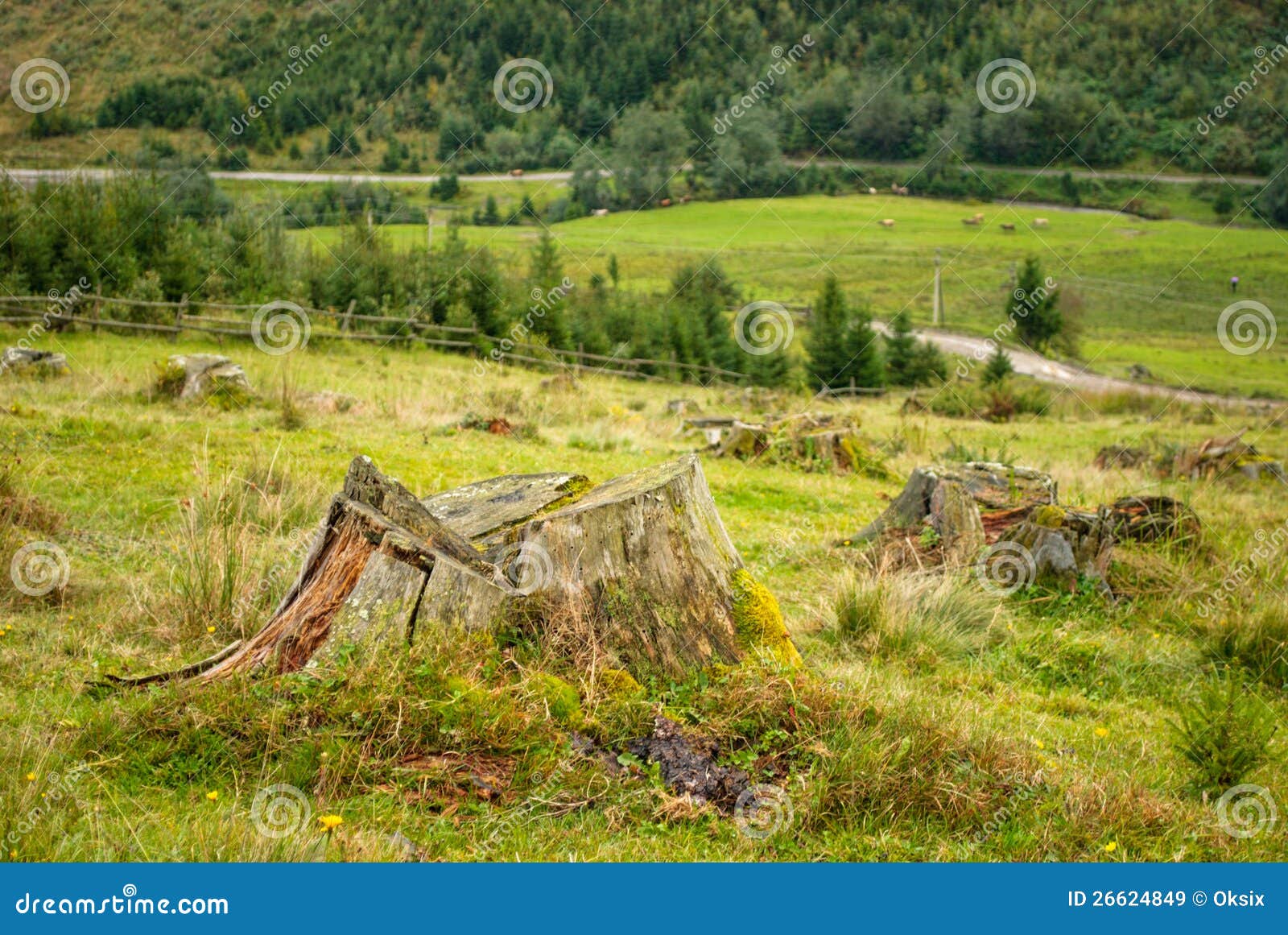 Environmental protection stock image. Image of nature - 26624849