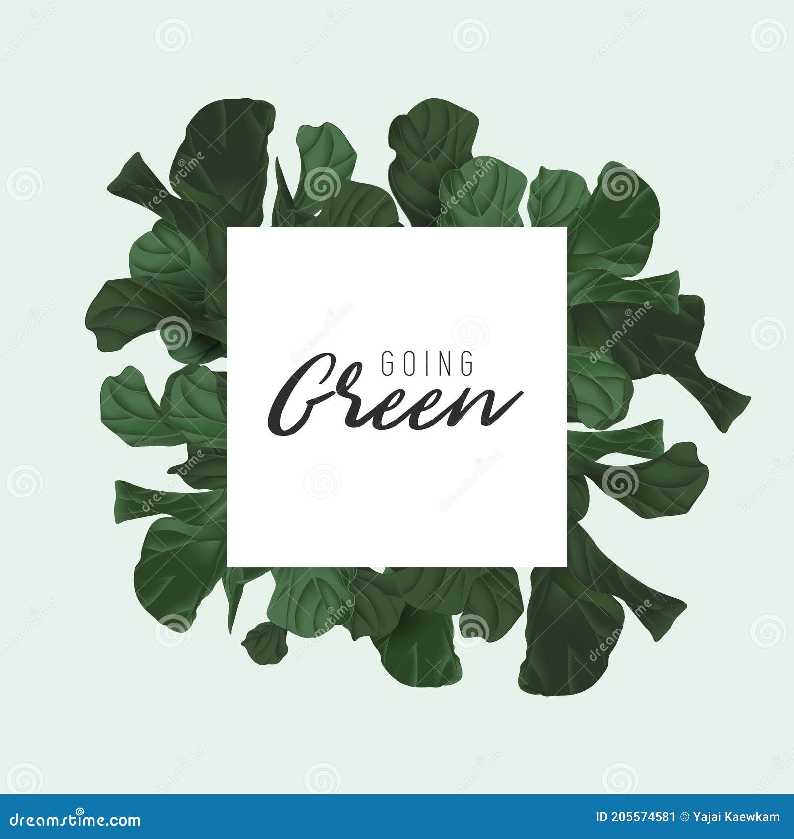 Environmental Protection and Awareness, Green Fiddle Leaf Fig with ...