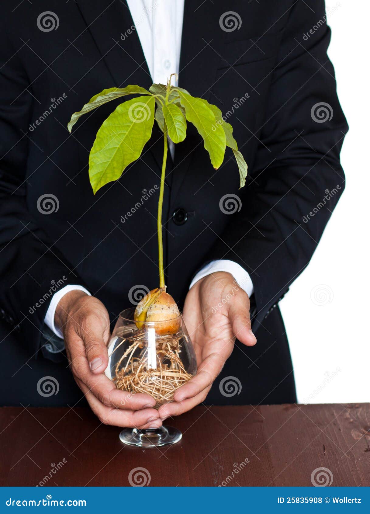 Environmental Protection Business Stock Photo - Image of leaf, organic ...