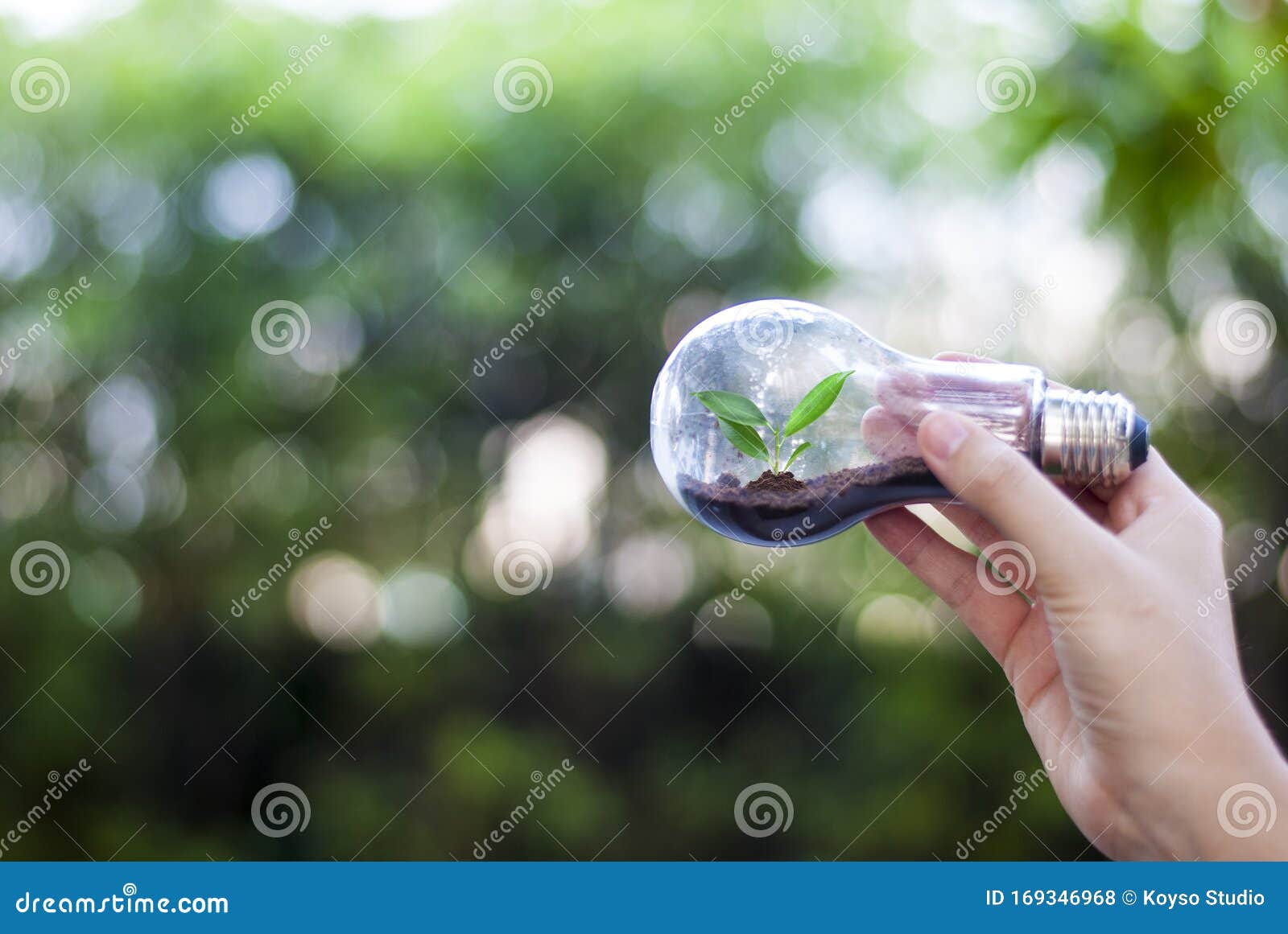 Environmental Protection Creativity on Earth Day or the Concept of ...