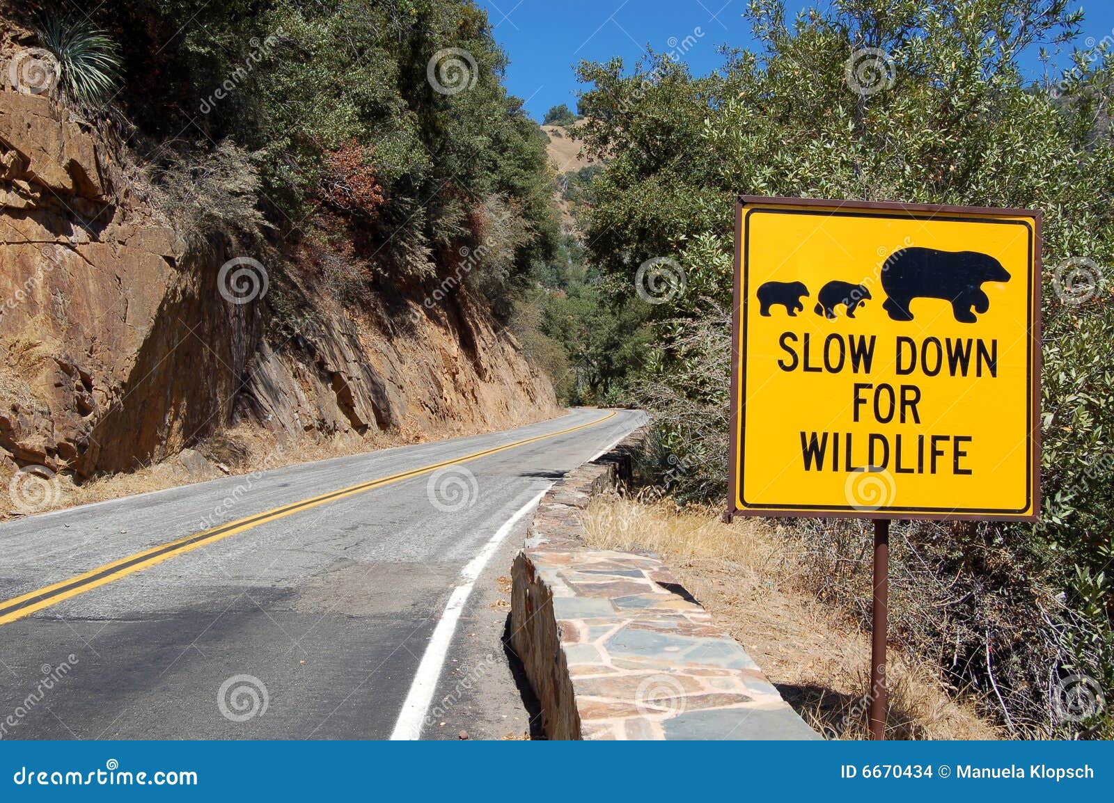 Environmental Sign stock photo. Image of banner, forest - 6670434