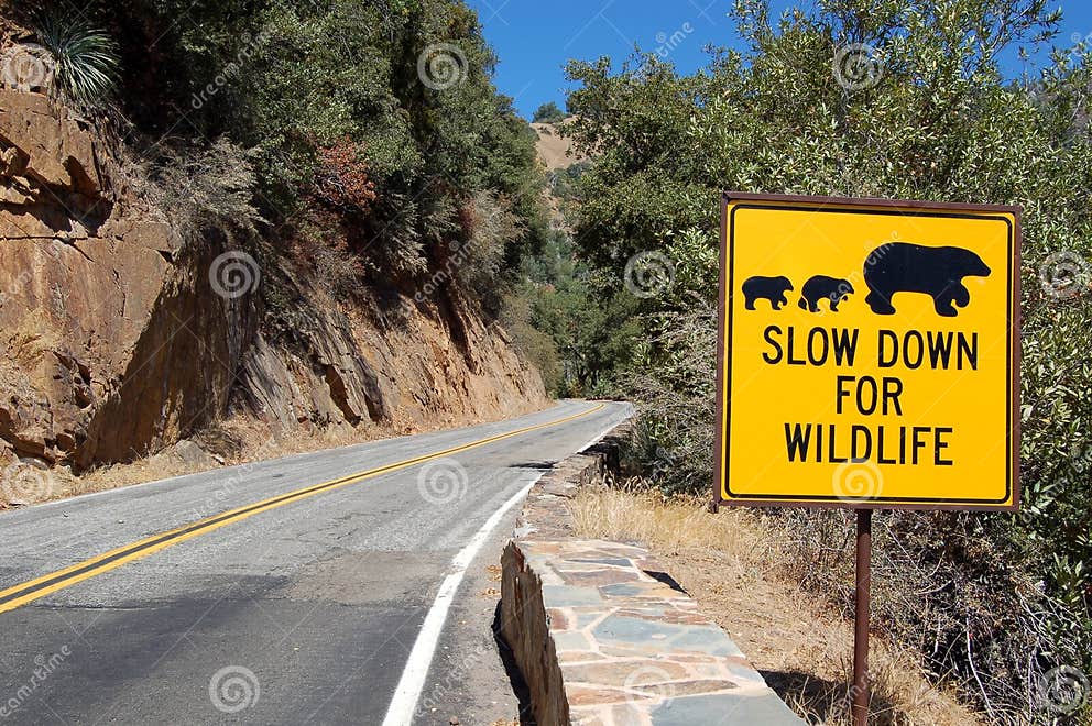 Environmental Sign stock photo. Image of banner, forest - 6670434