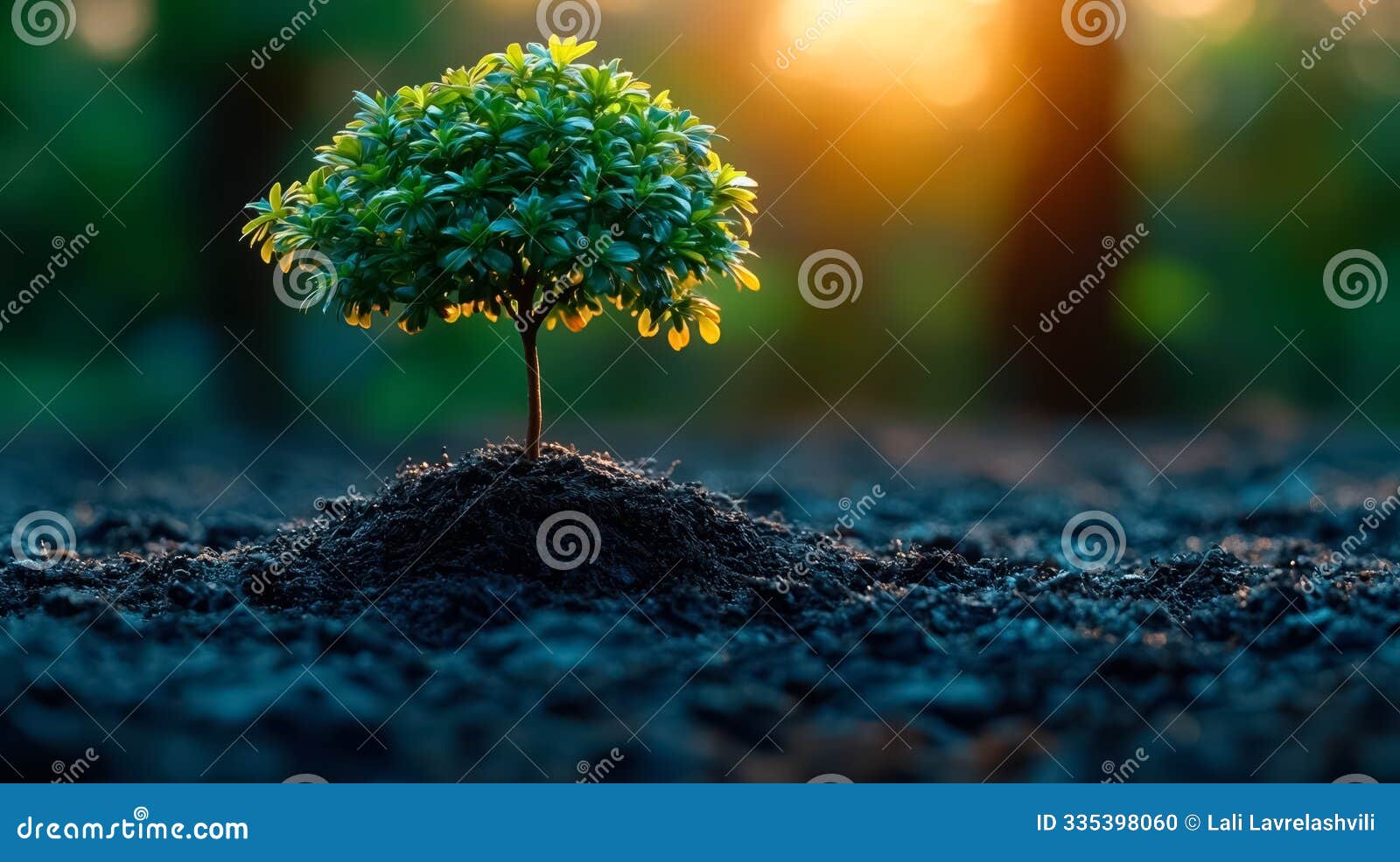 Environmental, Social, and Governance. Risk Management Representing ...