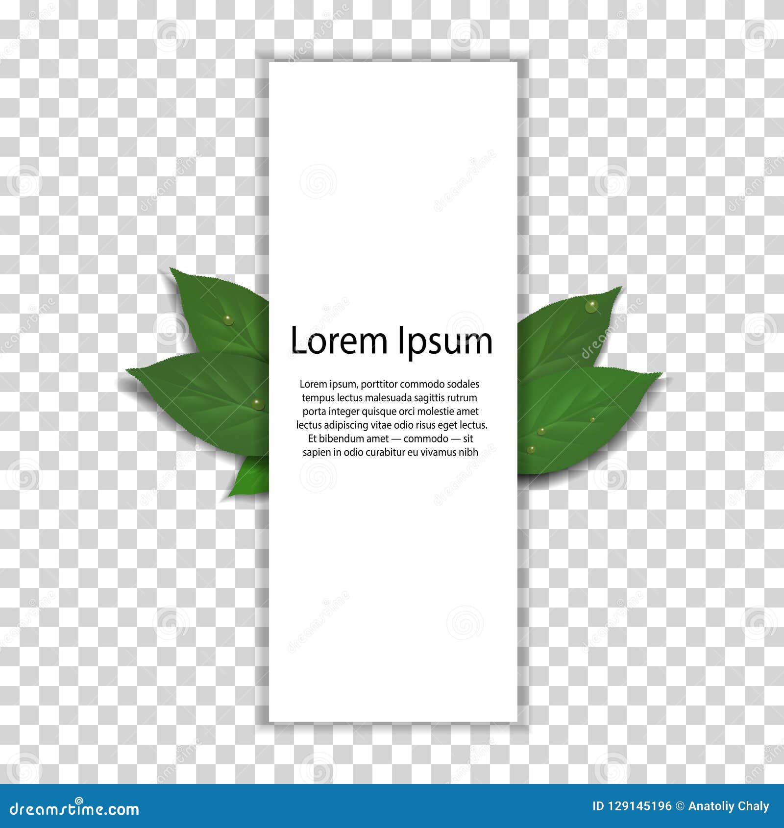 Environmental Template with Blank Space and Green Leaves Stock Vector ...