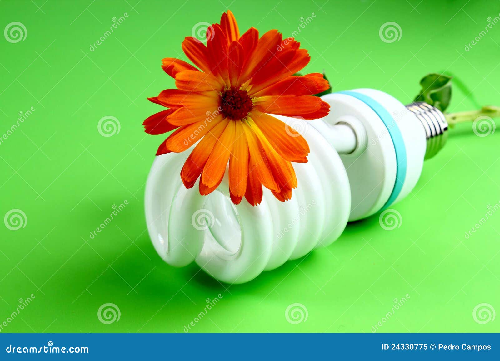 Environmentally friendly stock image. Image of flower - 24330775