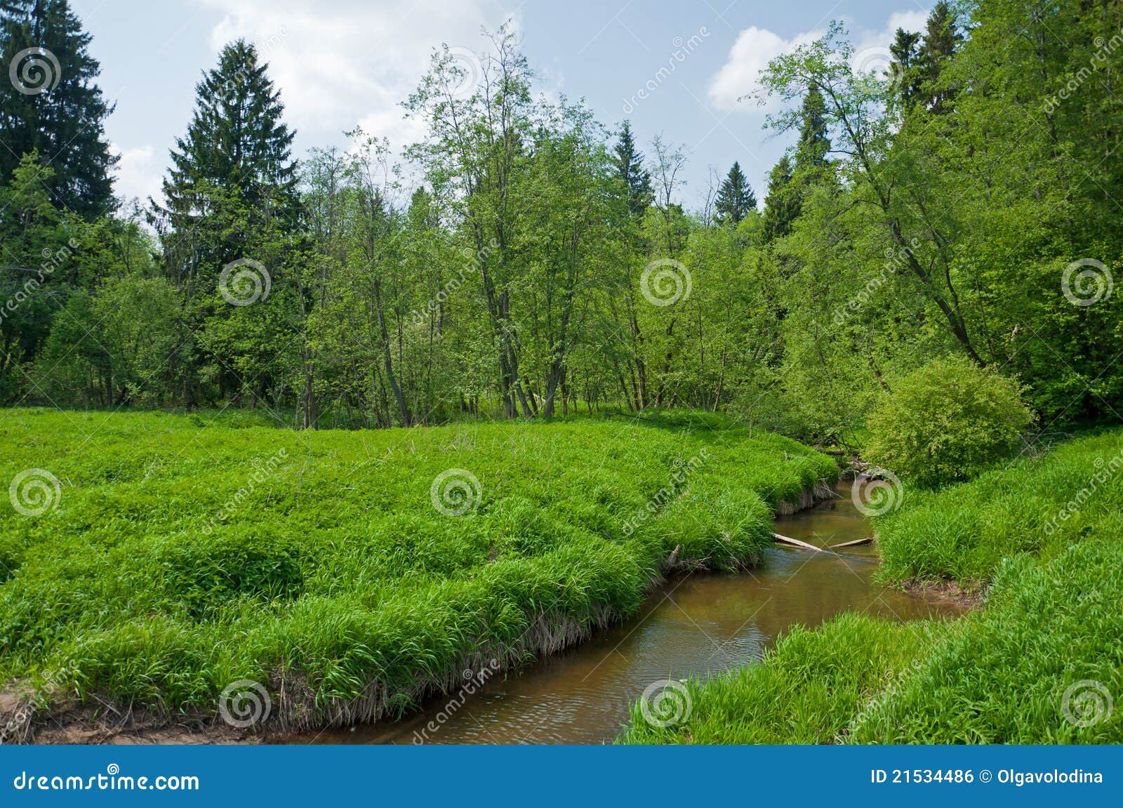Environmentally-friendly Summer Landscape Stock Photo - Image of forest ...