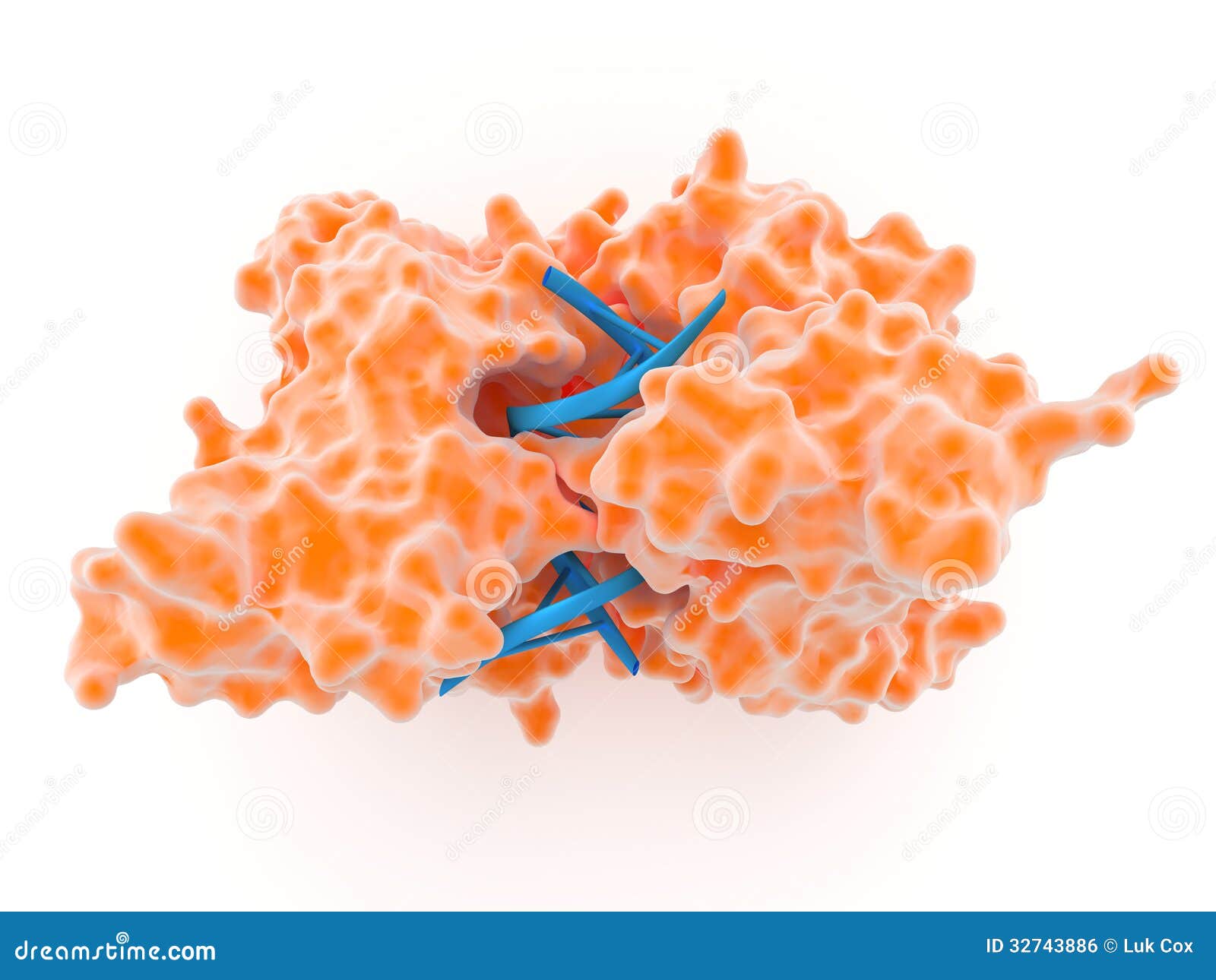 Enzyme Stock Illustrations, Vecteurs, & Clipart – (2,637 Stock ...