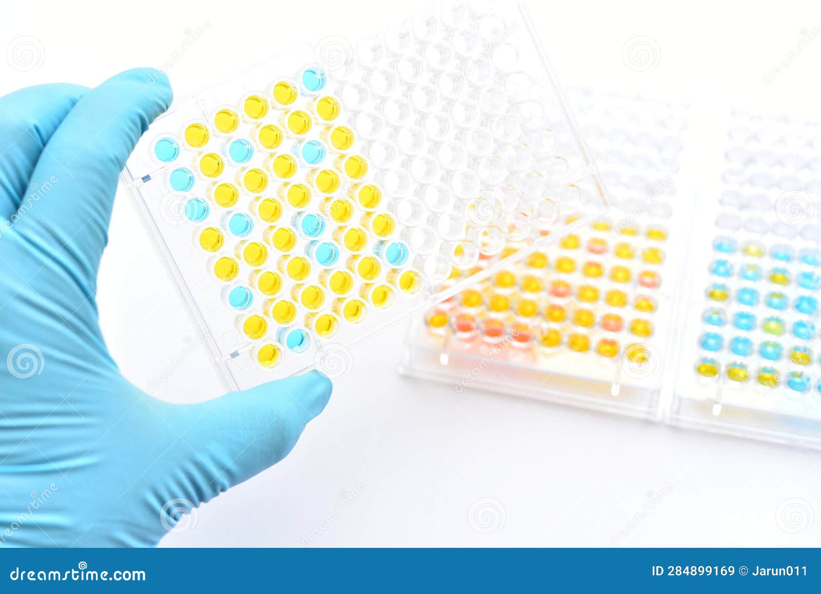 Enzyme-linked Immunosorbent Assay or ELISA Plate Stock Image - Image of ...