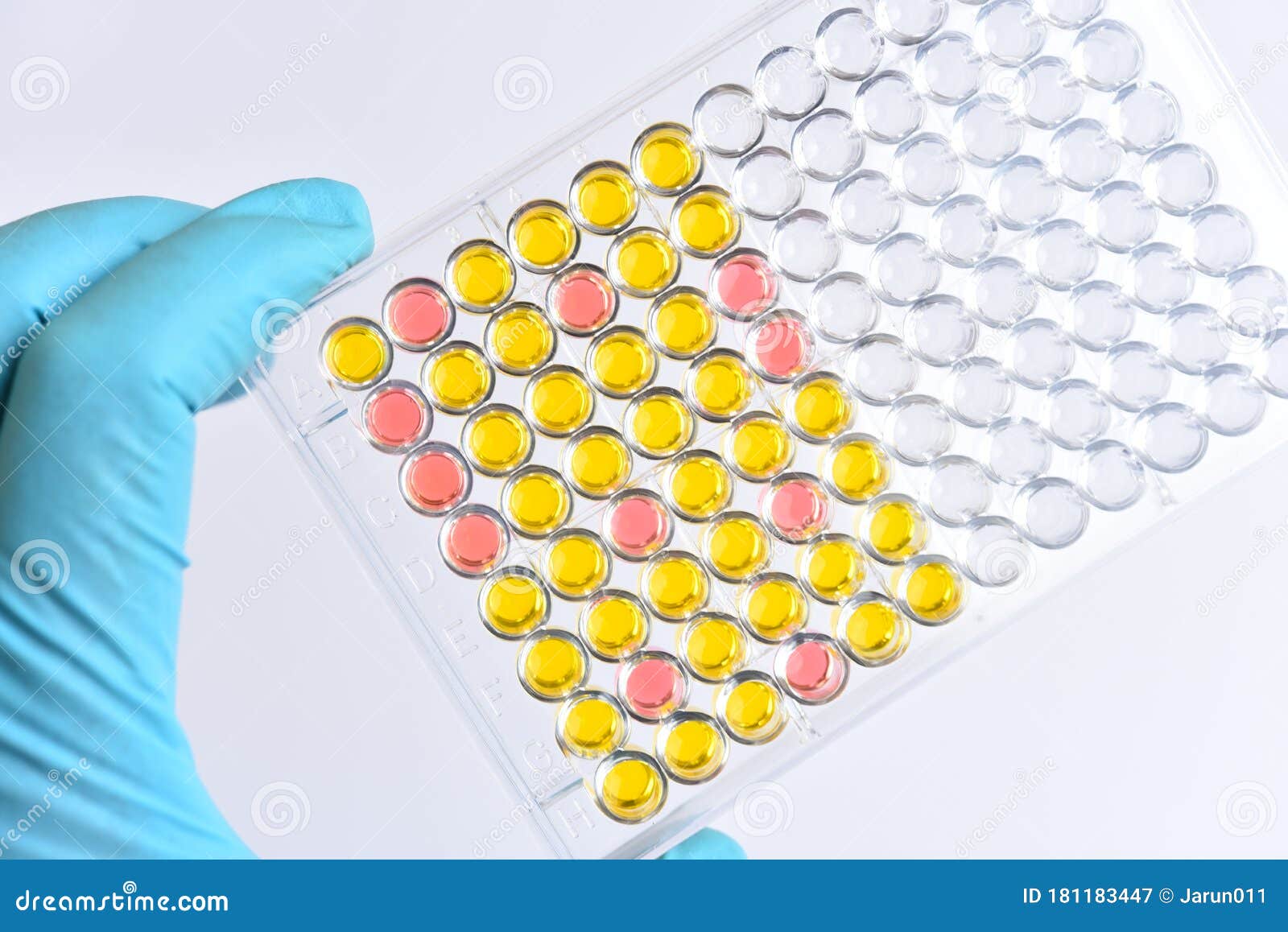 Enzyme-linked Immunosorbent Assay or ELISA Plate Stock Image - Image of ... Enzyme-linked Immunosorbent Assay or ELISA Plate Stock Image - Image of ...
