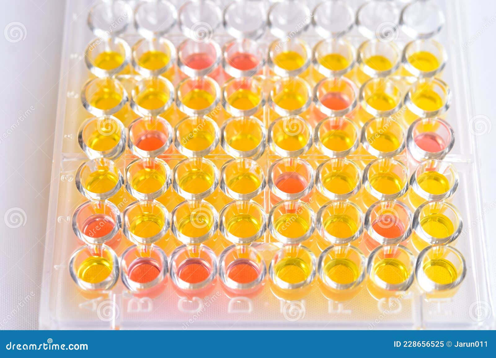 Enzyme-linked Immunosorbent Assay or ELISA Plate Stock Image - Image of ... Enzyme-linked Immunosorbent Assay or ELISA Plate Stock Image - Image of ...