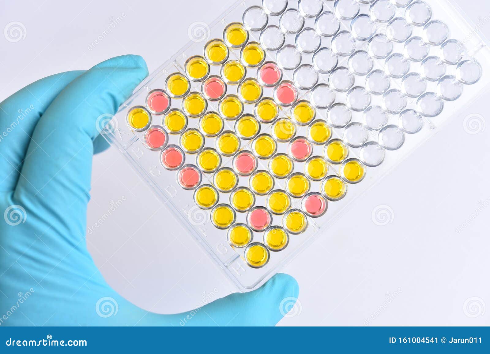 Enzyme-linked Immunosorbent Assay or ELISA Plate Stock Image - Image of ...