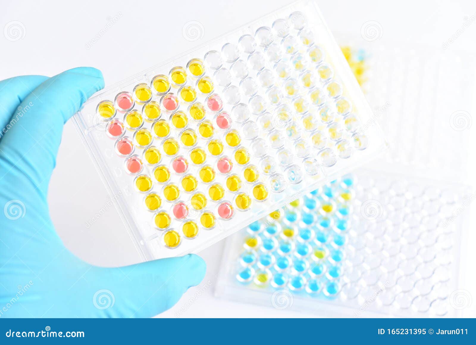 Enzyme-linked Immunosorbent Assay or ELISA Plate Stock Image - Image of ...