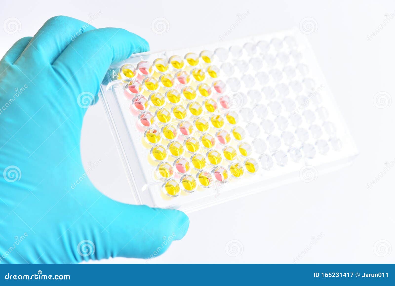 Enzyme-linked Immunosorbent Assay or ELISA Plate Stock Image - Image of ...
