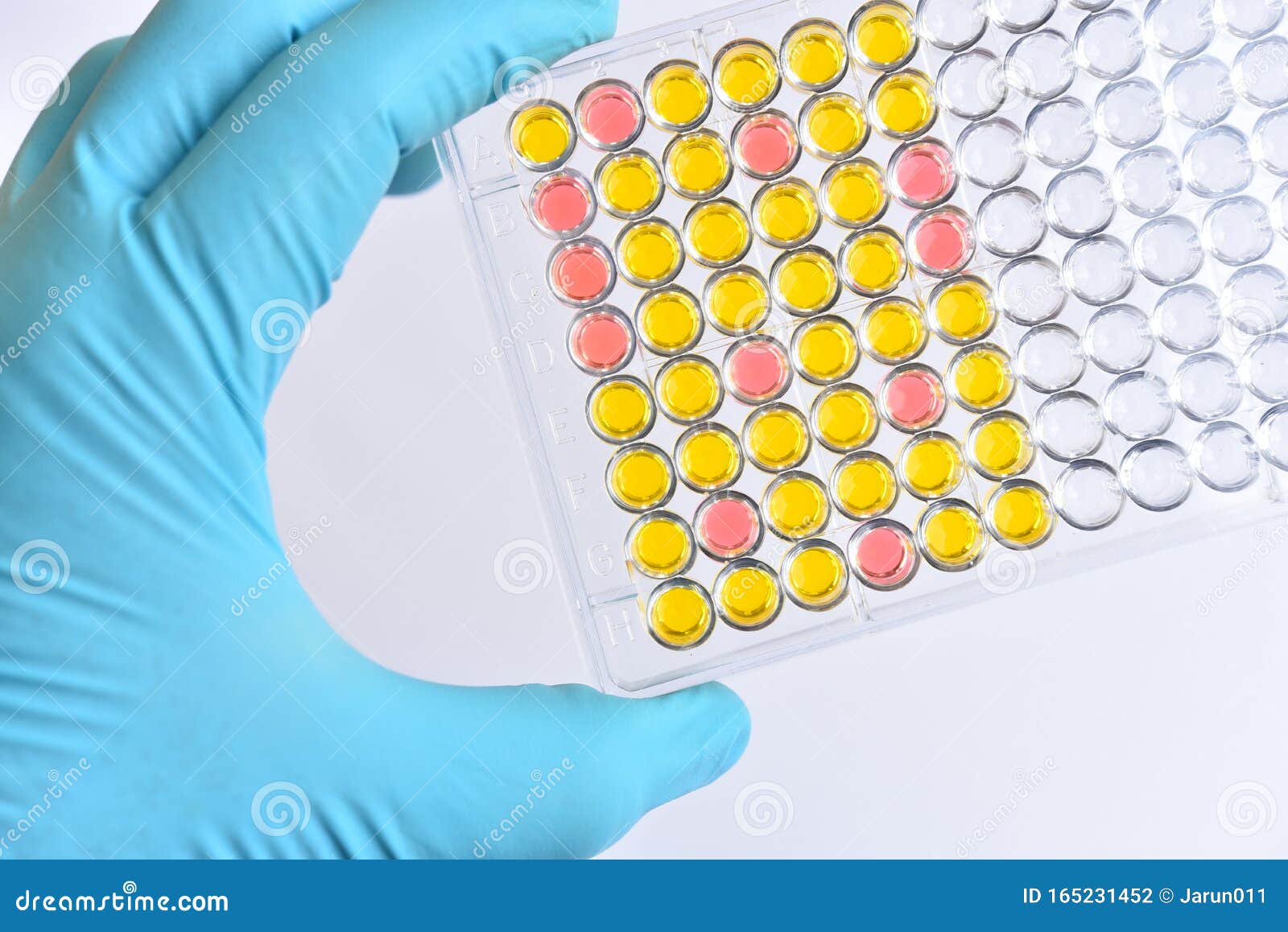 Enzyme-linked Immunosorbent Assay or ELISA Plate Stock Photo - Image of ...