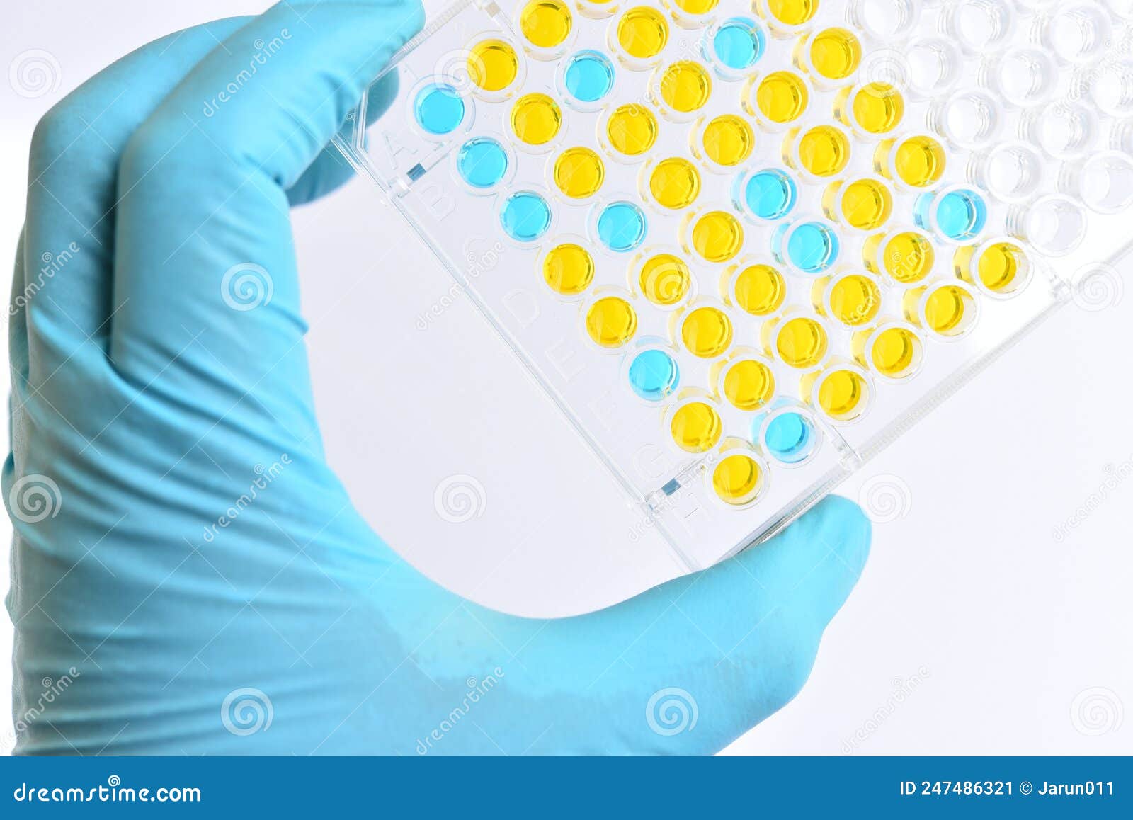 Enzyme-linked Immunosorbent Assay or ELISA Plate Stock Image - Image of ...