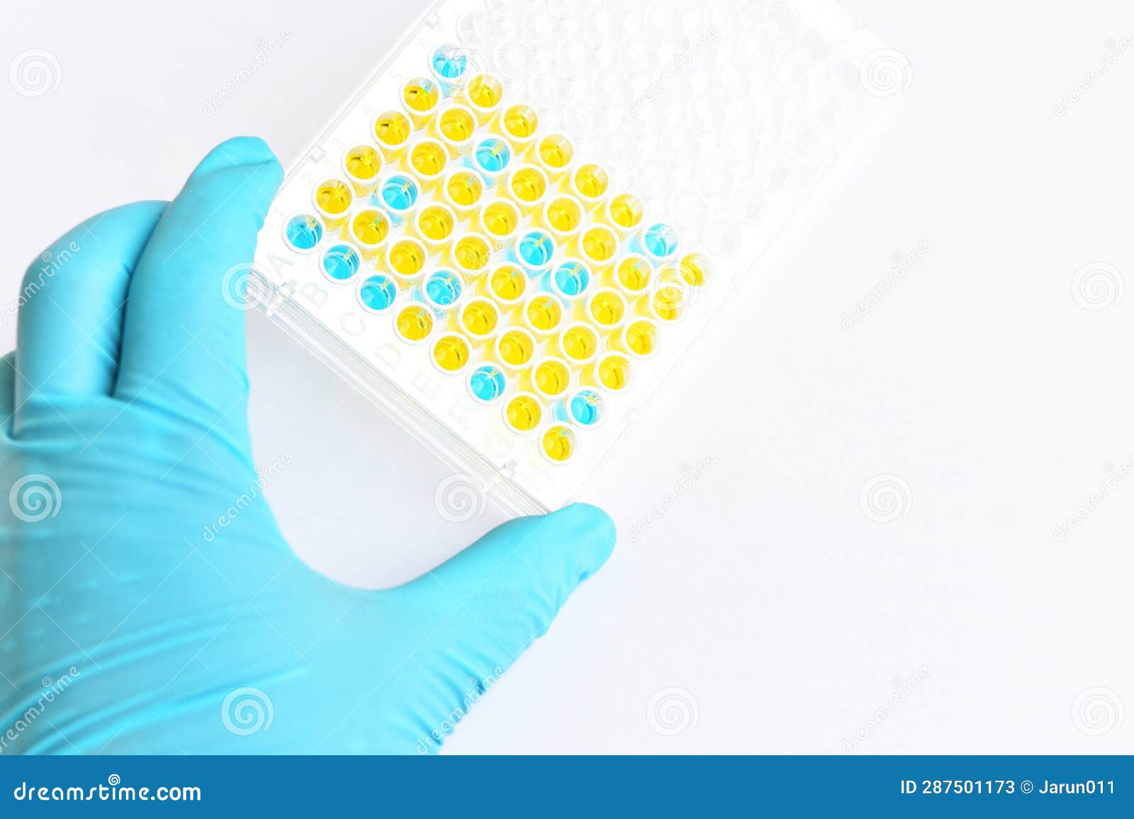 Enzyme-linked Immunosorbent Assay or ELISA Plate Stock Image - Image of ...