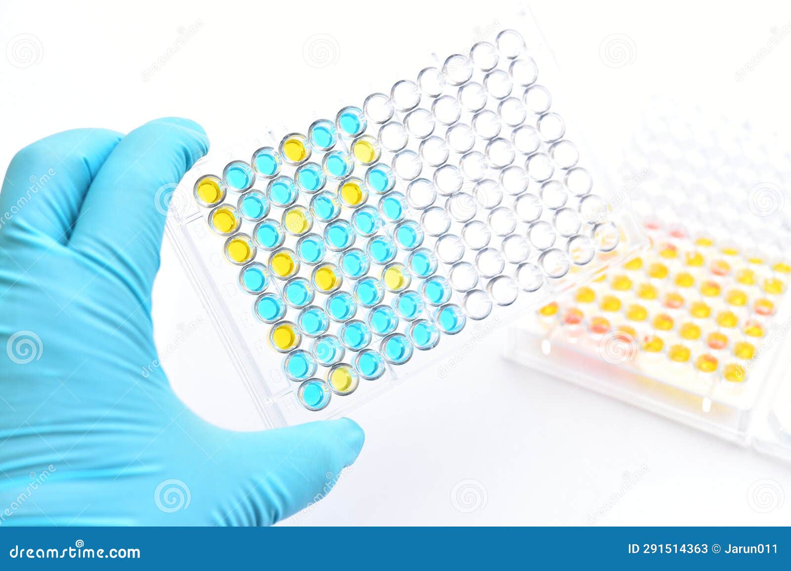 Enzyme-linked Immunosorbent Assay or ELISA Plate Stock Image - Image of ...