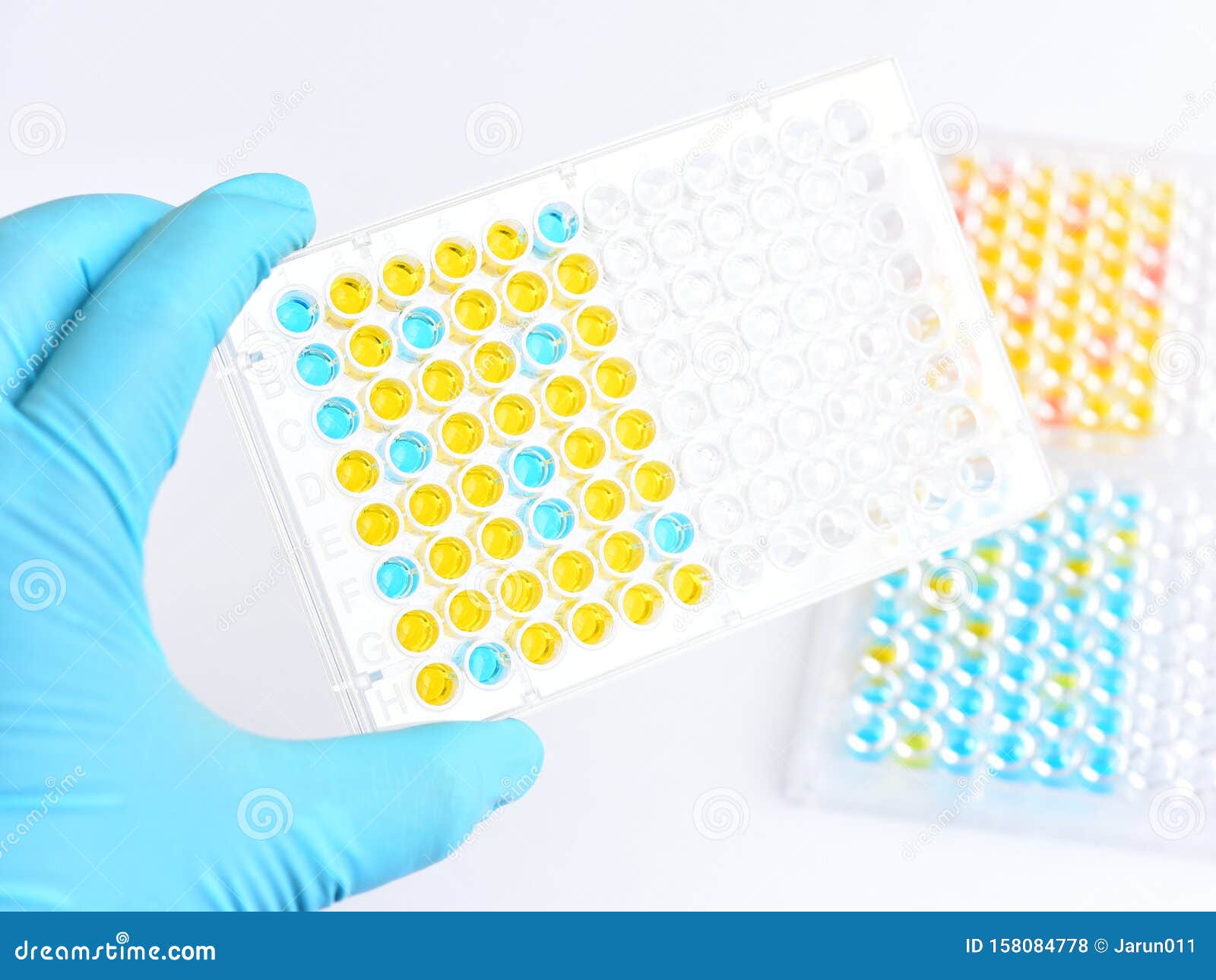 Enzyme-linked Immunosorbent Assay or ELISA Plate Stock Photo - Image of ... Enzyme-linked Immunosorbent Assay or ELISA Plate Stock Photo - Image of ...