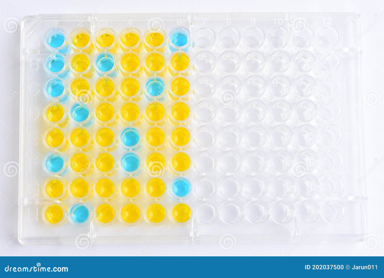 Enzyme-linked Immunosorbent Assay or ELISA Plate Stock Photo - Image of ... Enzyme-linked Immunosorbent Assay or ELISA Plate Stock Photo - Image of ...