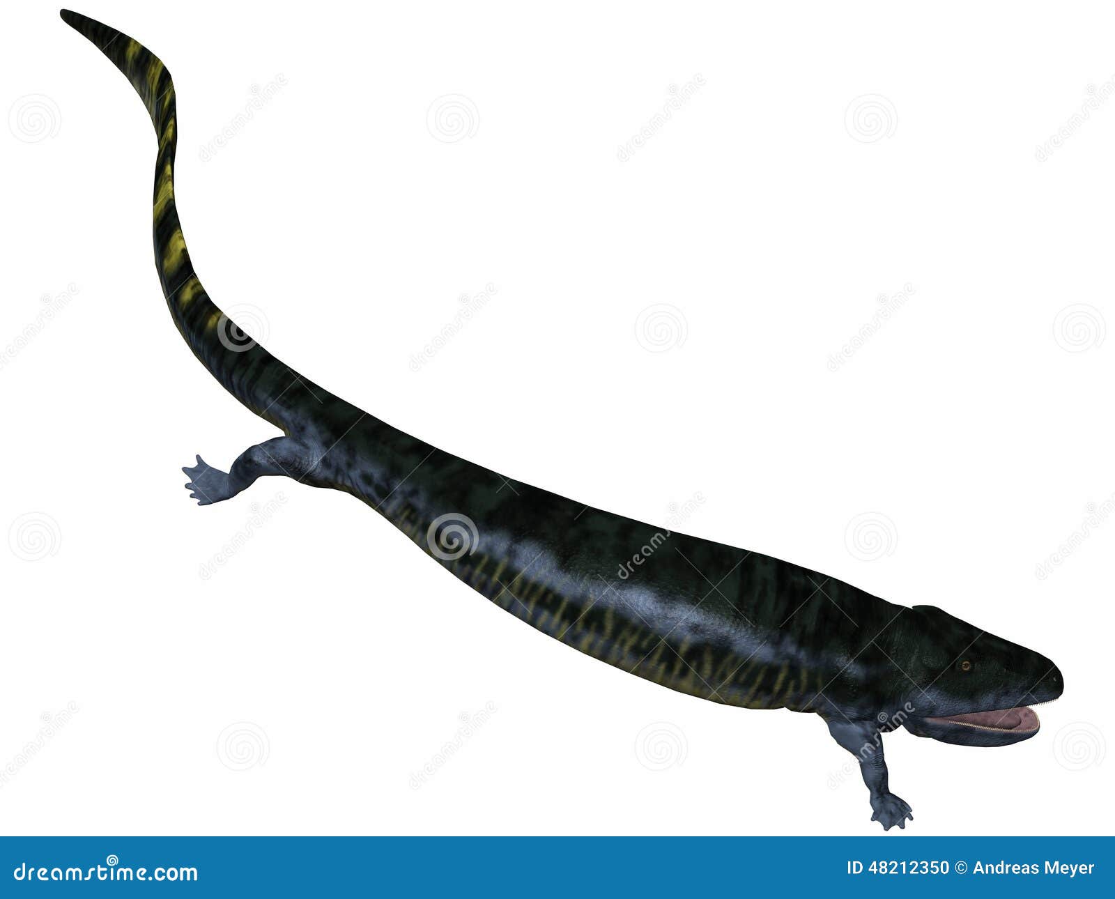 Eogyrinus Attheyi - 3D Dinosaur Stock Illustration - Illustration of ...