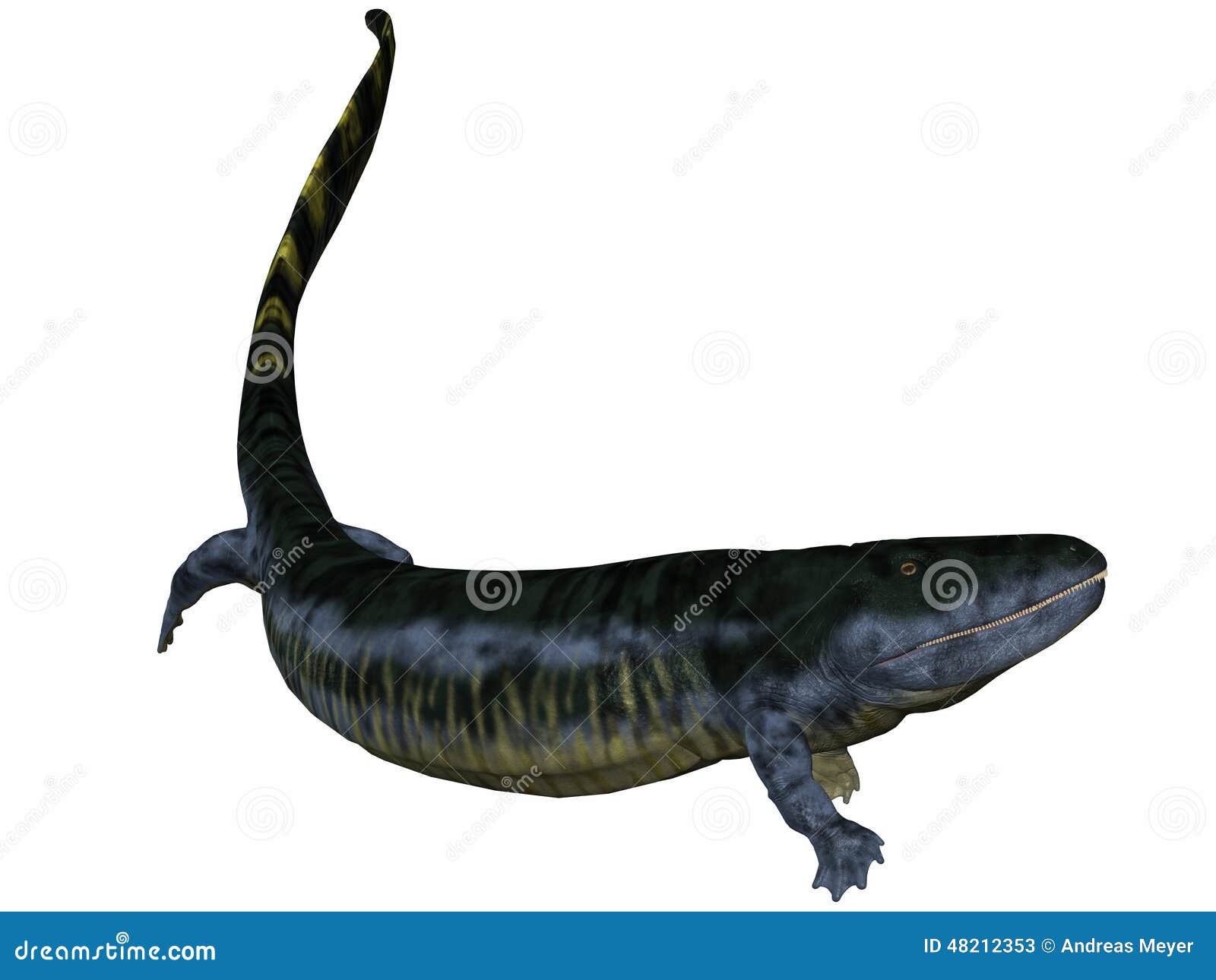 Eogyrinus Attheyi - 3D Dinosaur Stock Illustration - Illustration of ...