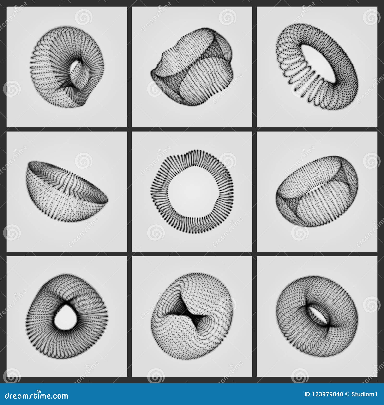 Eometric Shape For Design. The Torus Consisting Of Points. The Half ... Eometric Shape For Design. The Torus Consisting Of Points. The Half ...