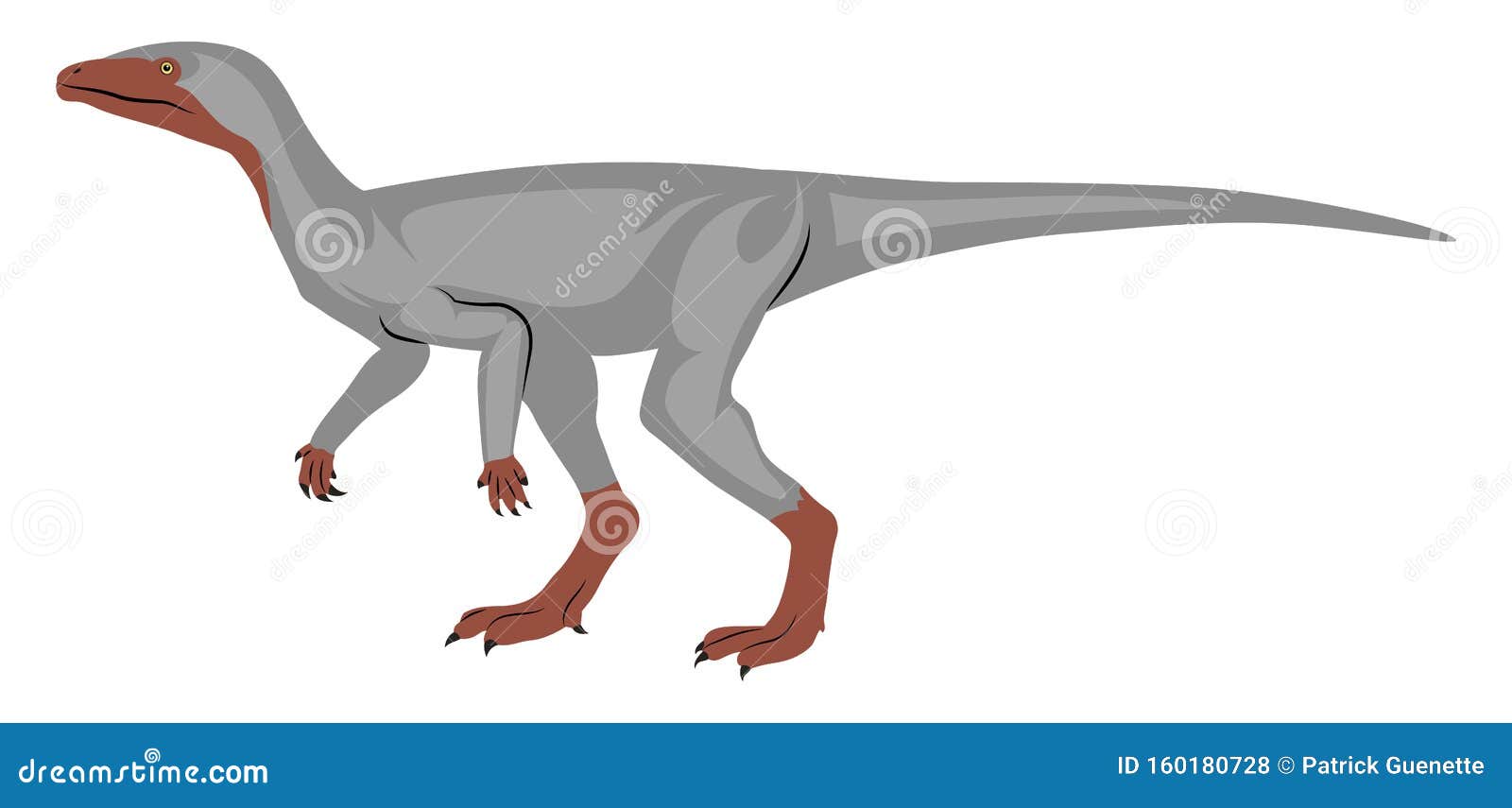 Eoraptor, Illustration, Vector Stock Vector - Illustration of monster ...