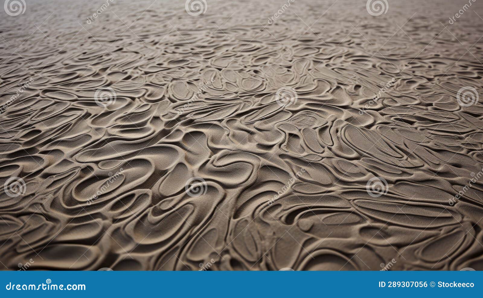 Ephemeral Sand Patterns: Conceptual Installation Art in Monochromatic ...