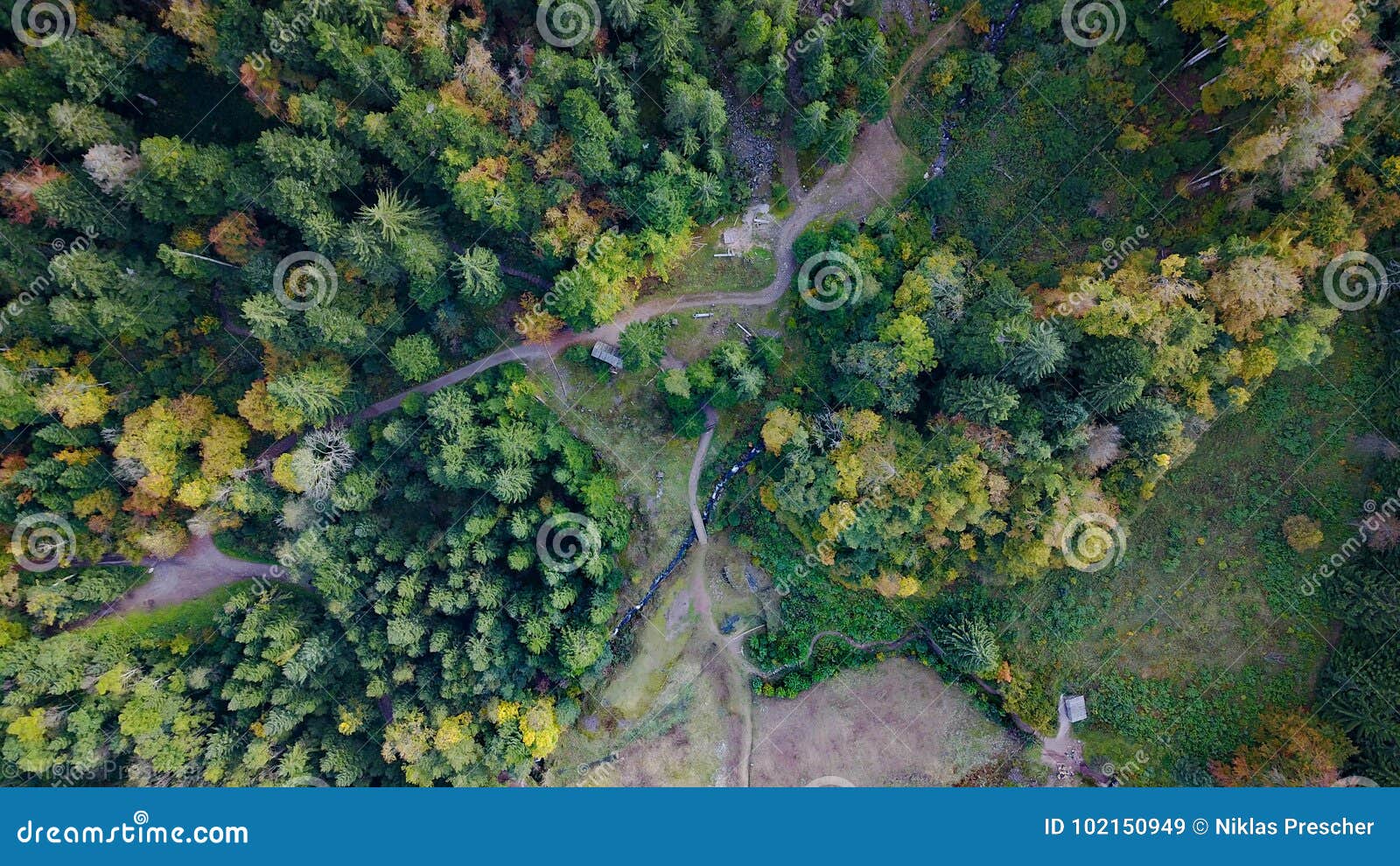 Forest from above stock image. Image of tree, epic, trees - 102150949
