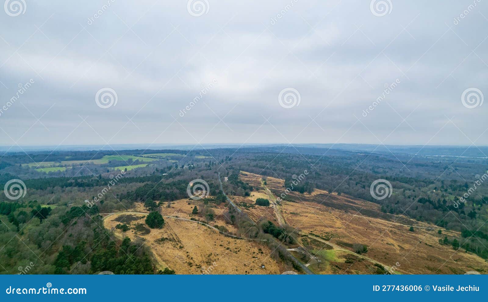Epic View of the Forest Taken with the Drone Stock Photo - Image of ...