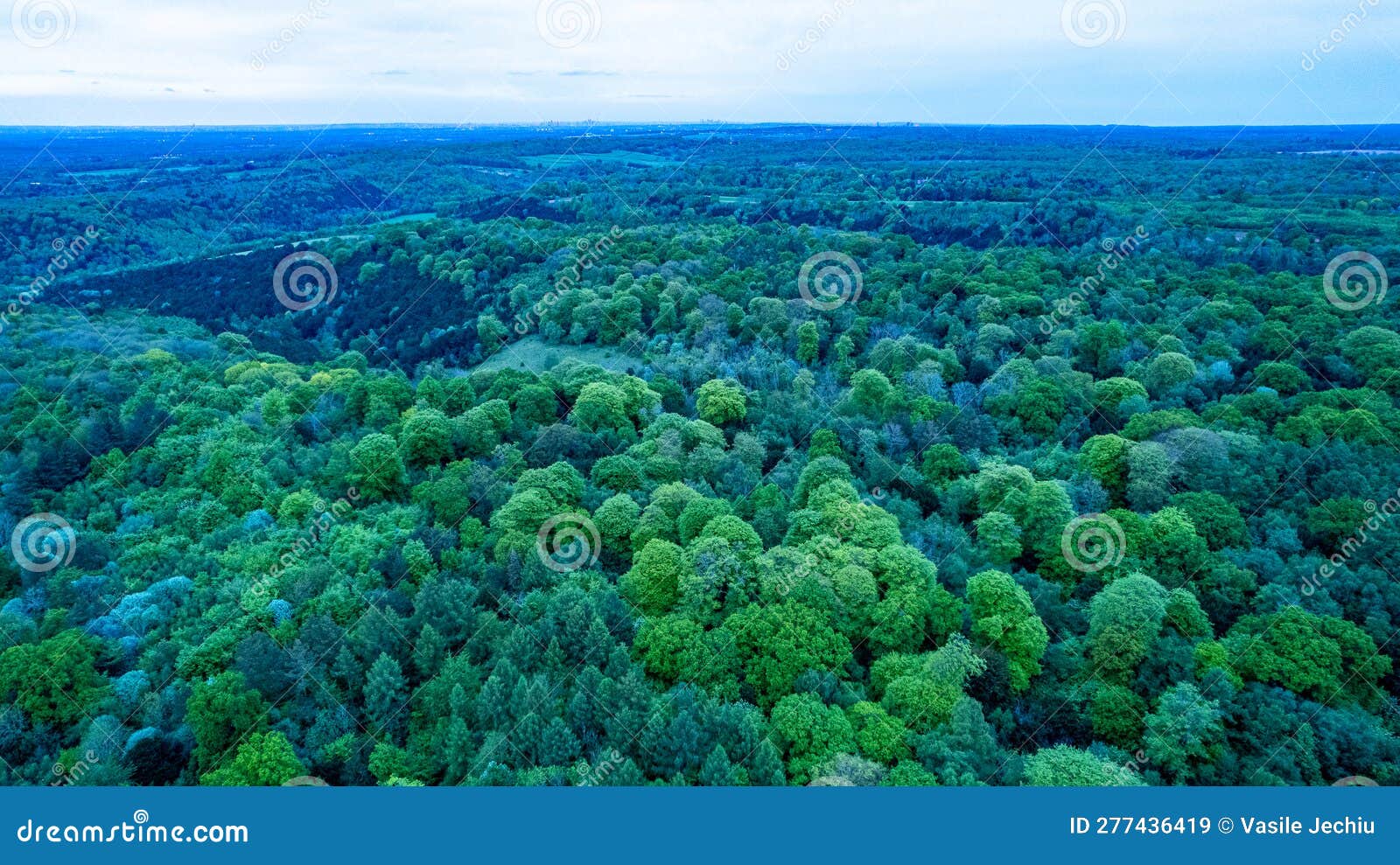 Epic View of the Forest Taken with the Drone Stock Image - Image of ...
