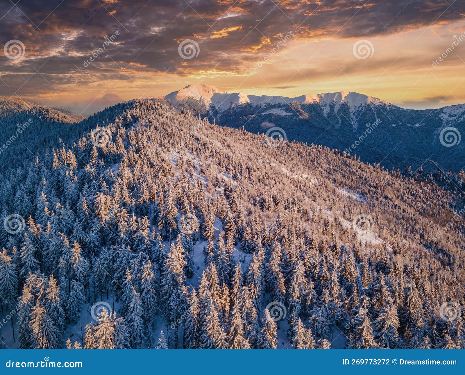 Epic winter wilderness stock photo. Image of ukraine - 269773272