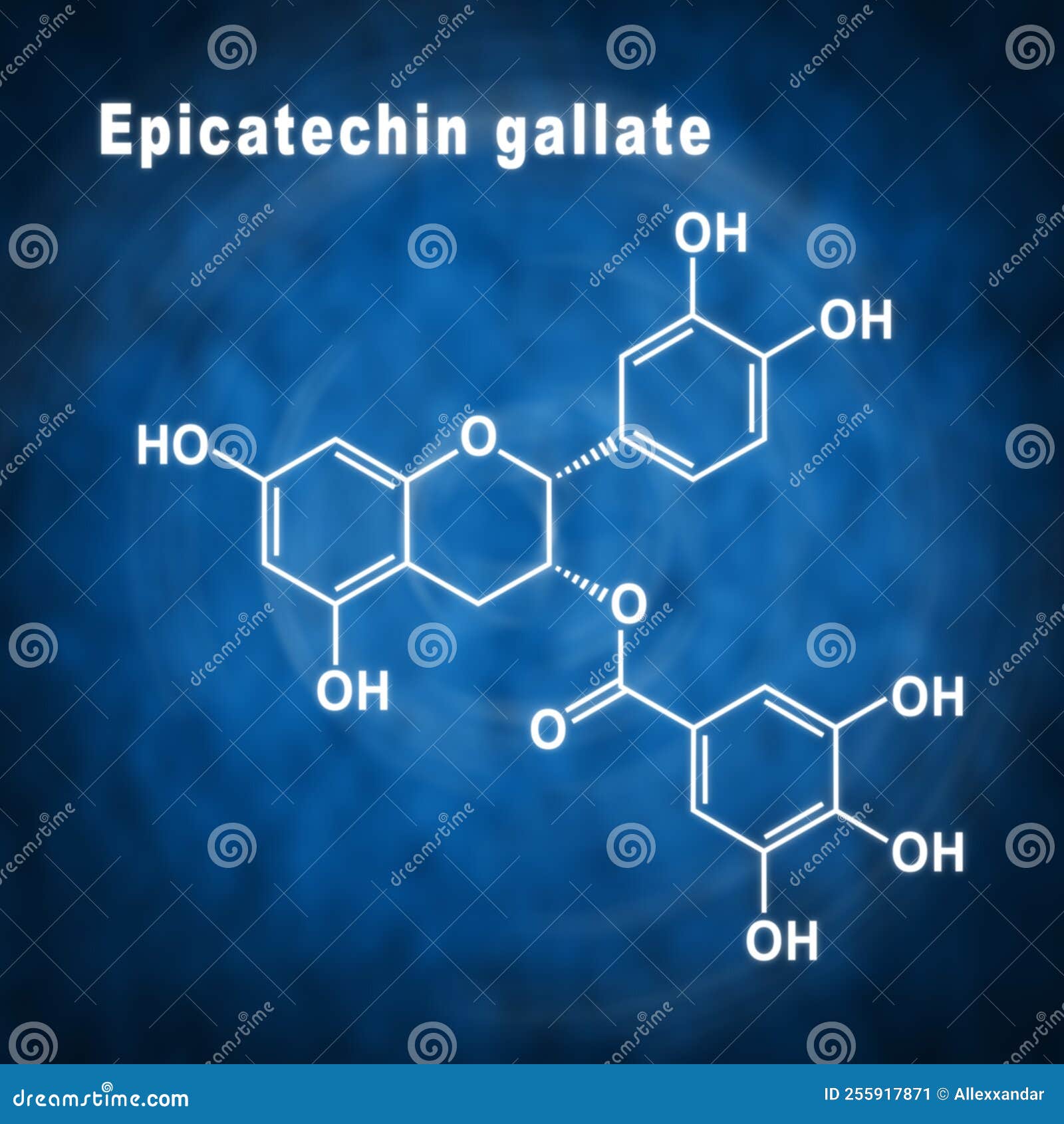 Epicatechin Gallate, Structural Chemical Formula Royalty-Free Stock ...