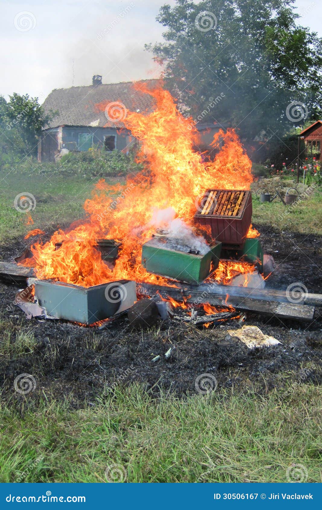 Epidemy in the Bee Farming - Destroying Beehives Editorial Photography ...