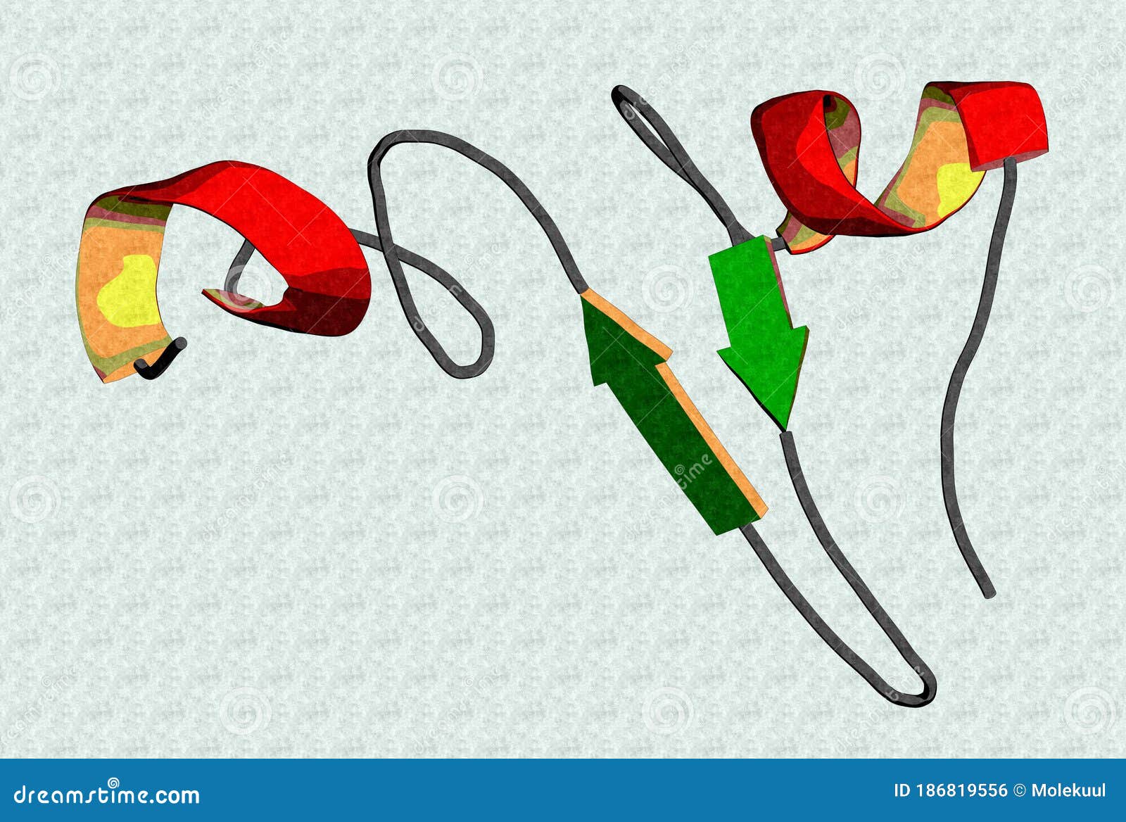 Epidermal Growth Factor (EGF) Signaling Protein Molecule. Cartoon ...