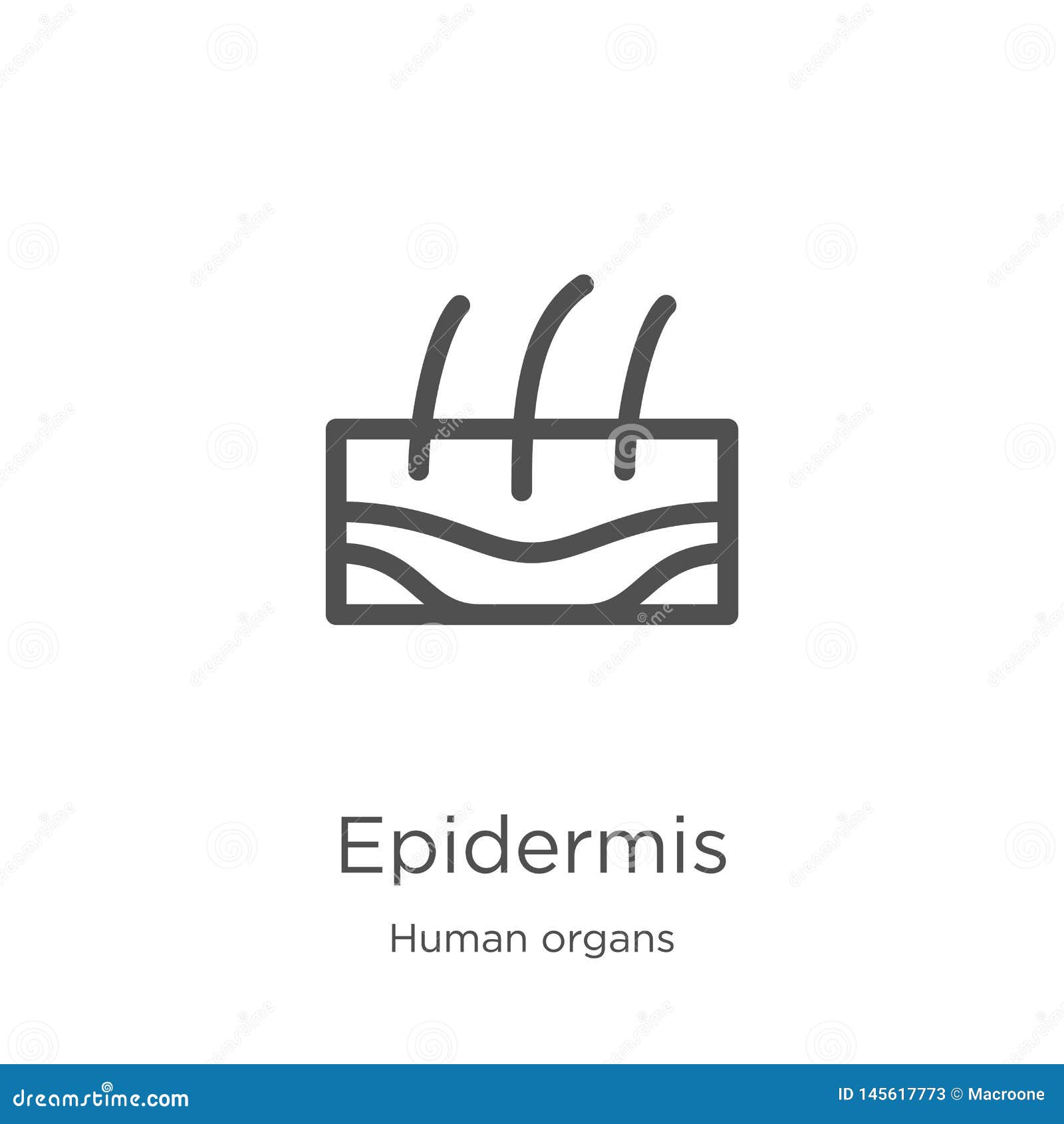 Epidermis Icon In Different Style Vector Illustration. Two Colored And ...